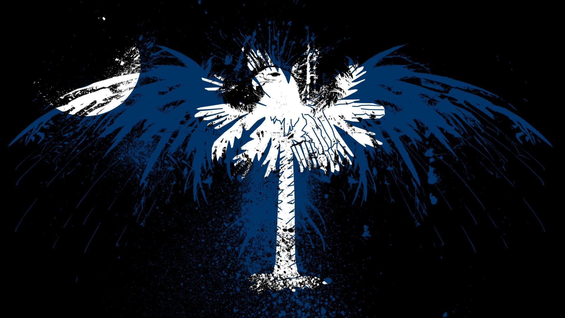 South Carolina Wallpapers - Top Free South Carolina Backgrounds ...