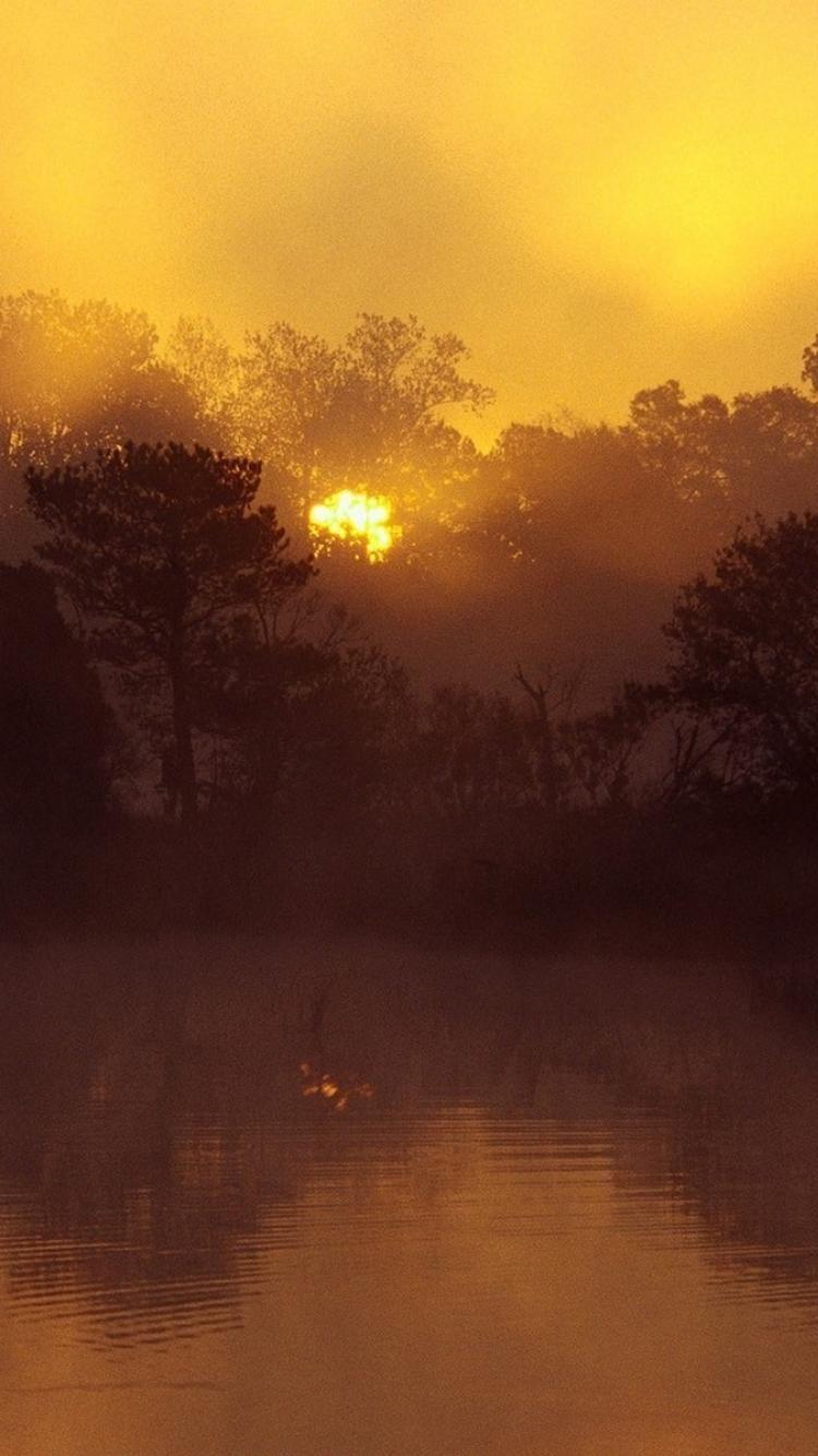 South Carolina Wallpapers - Top Free South Carolina Backgrounds ...