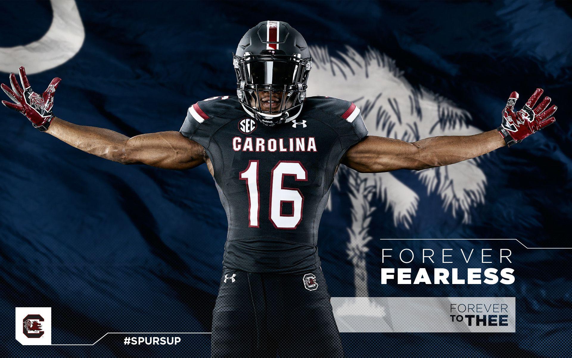 South Carolina Wallpapers - Top Free South Carolina Backgrounds ...