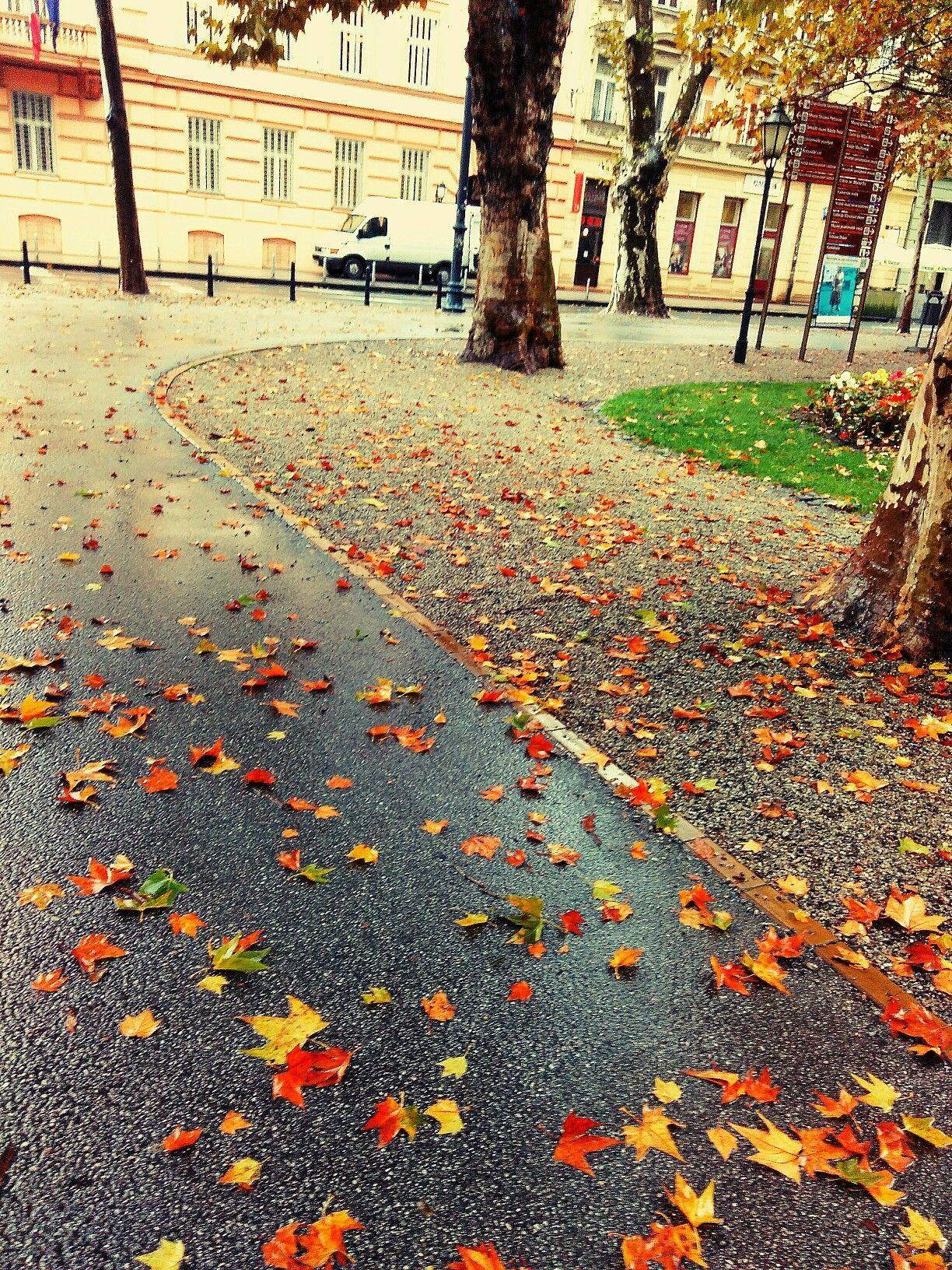 Sidewalk Wallpapers - Top Free Sidewalk Backgrounds - WallpaperAccess