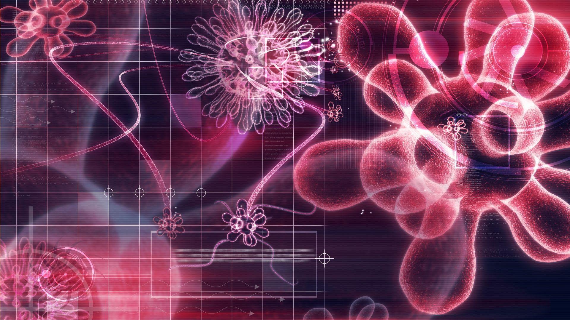 Coronavirus Wallpapers - Top Free Coronavirus Backgrounds - WallpaperAccess