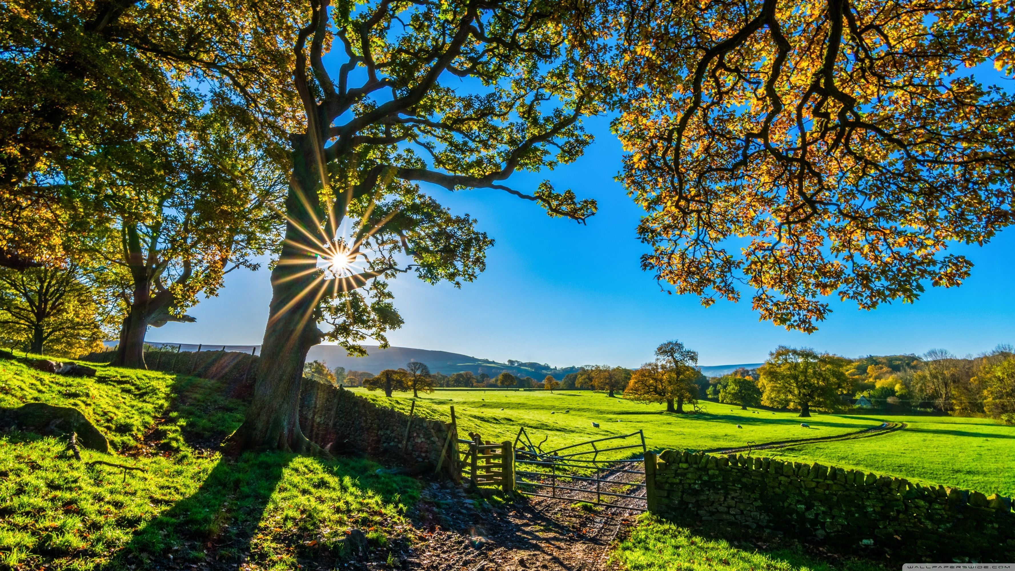 UK 4K Wallpapers - Top Free UK 4K Backgrounds - WallpaperAccess