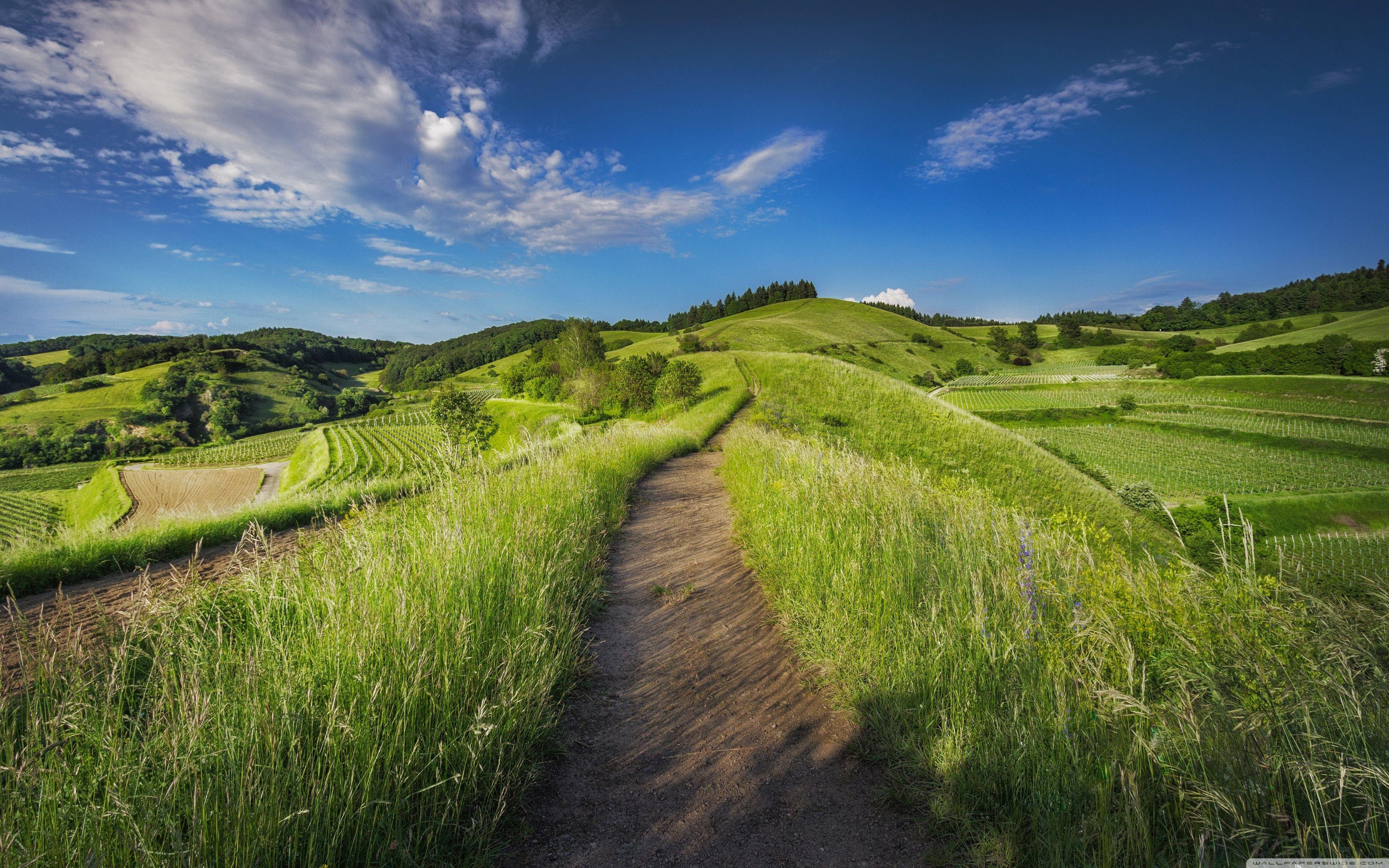 Countryside Wallpapers - Top Free Countryside Backgrounds - WallpaperAccess