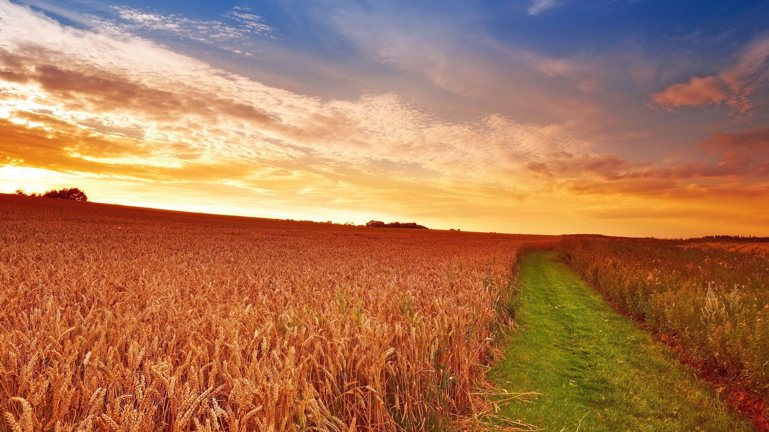 Countryside Wallpapers - Top Free Countryside Backgrounds - WallpaperAccess