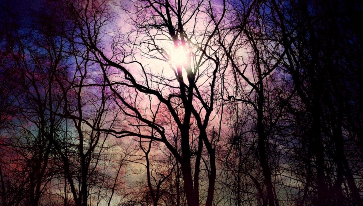 Dual Monitor Forest Wallpapers - Top Free Dual Monitor Forest ...