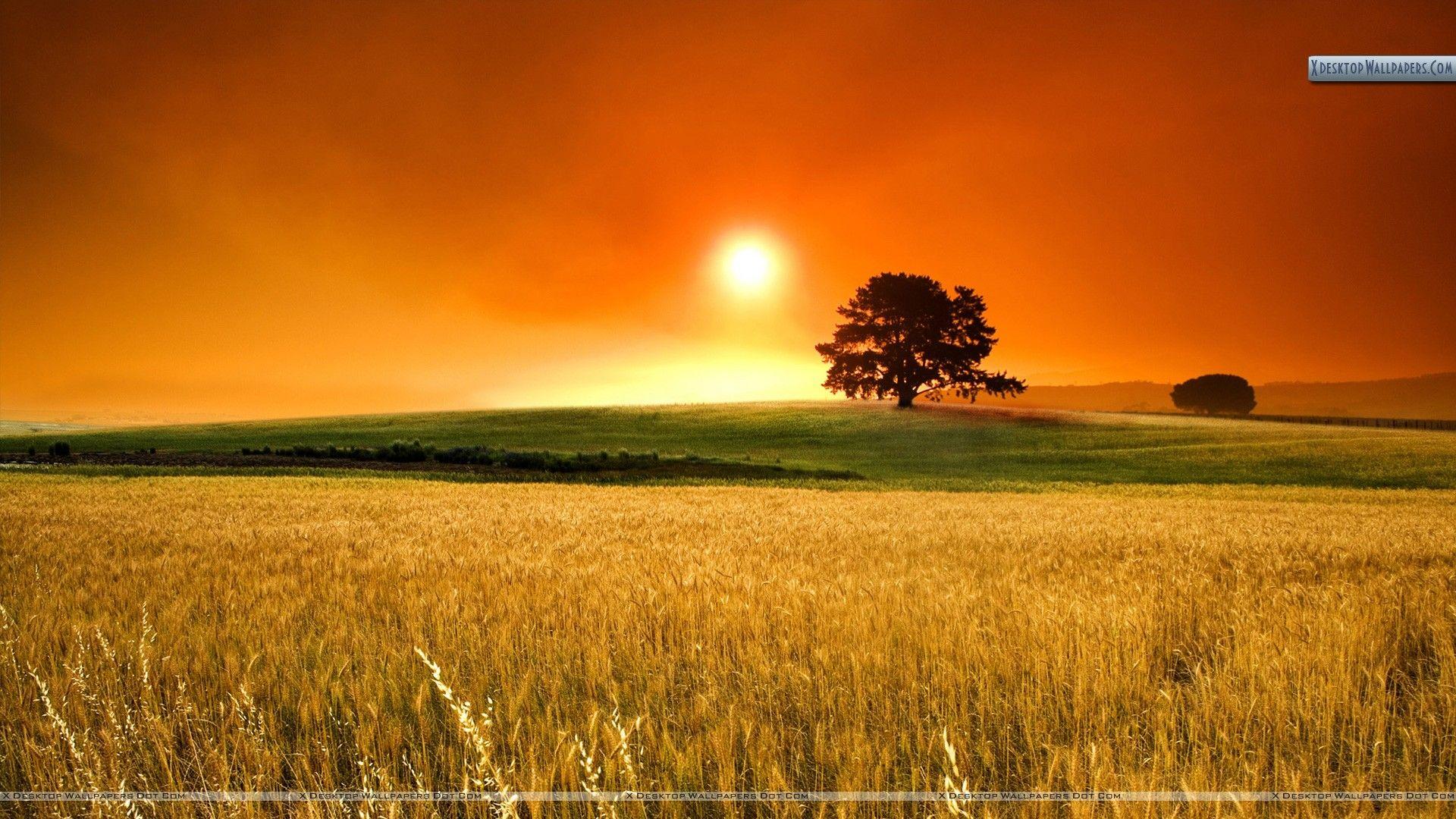Sunny Landscape Wallpapers - Top Free Sunny Landscape Backgrounds ...