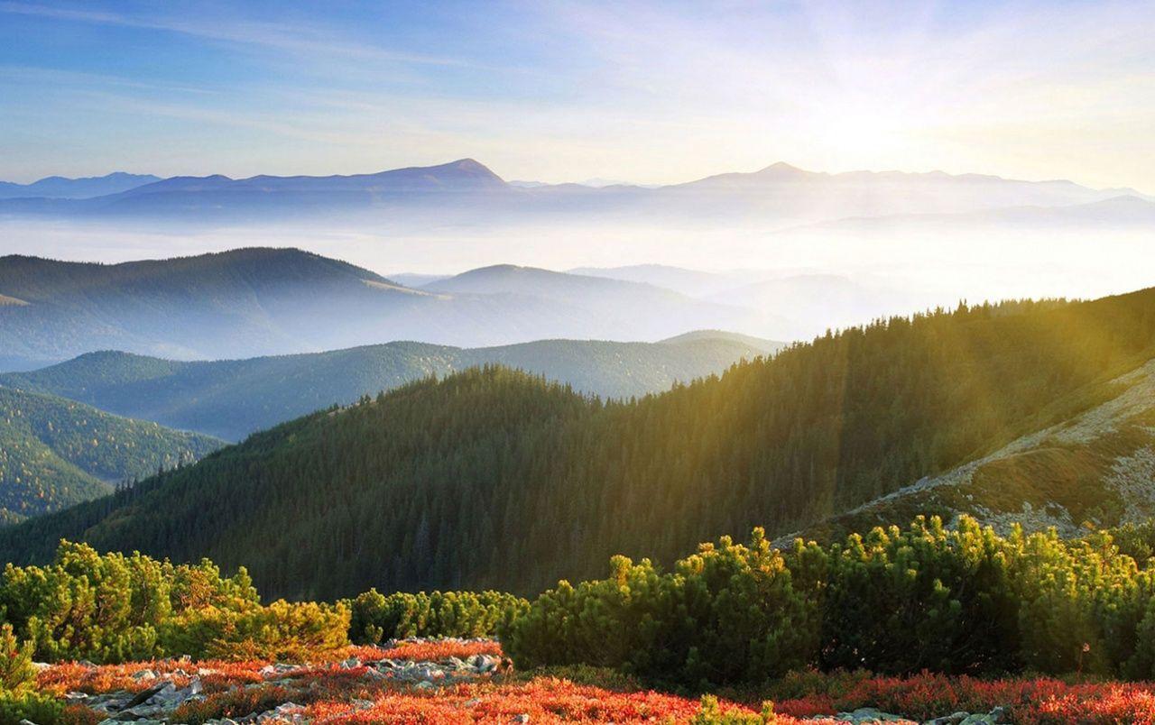 Sunny Landscape Wallpapers - Top Free Sunny Landscape Backgrounds ...