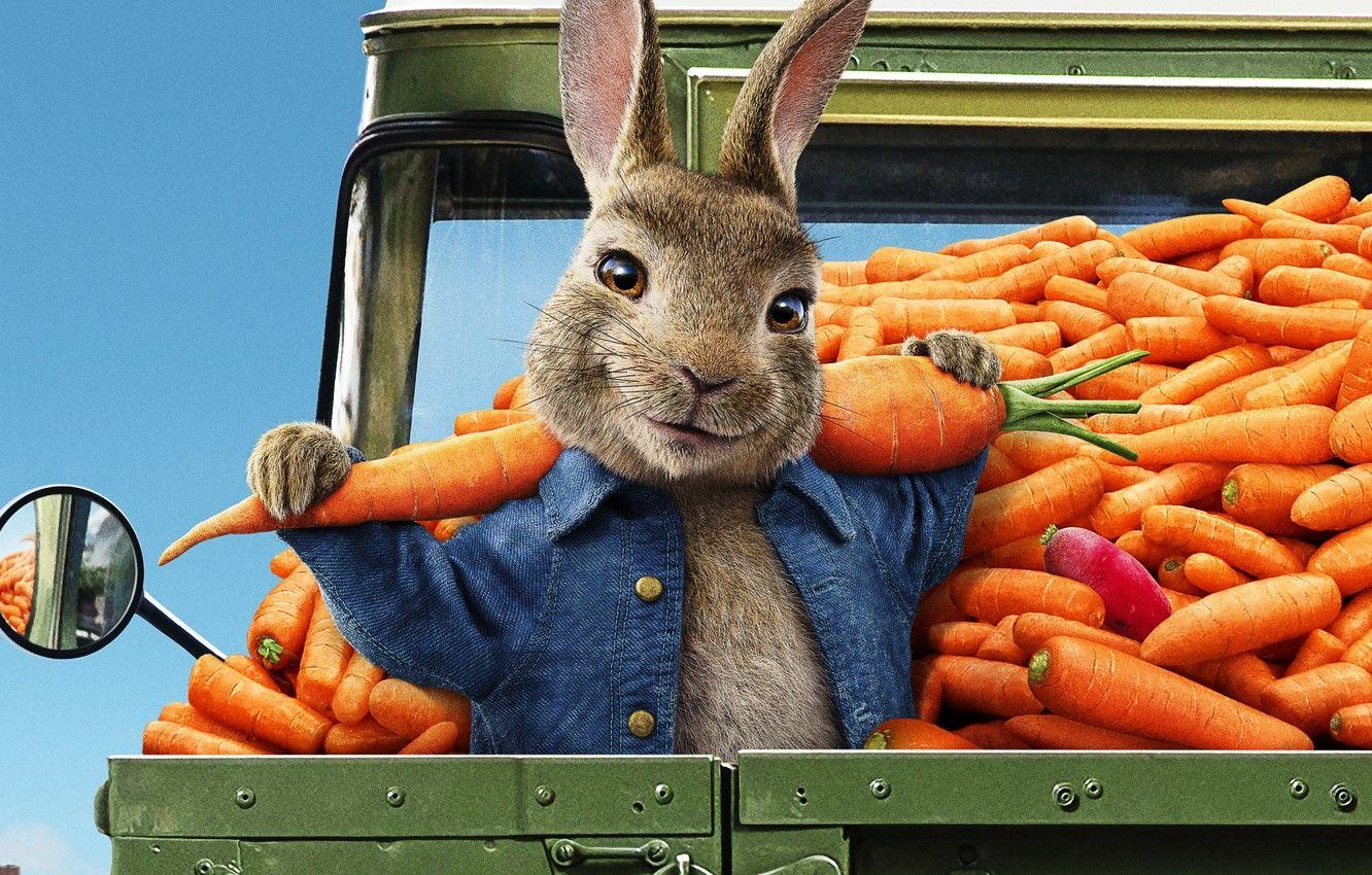 Peter Rabbit Wallpapers - Top Free Peter Rabbit Backgrounds ...
