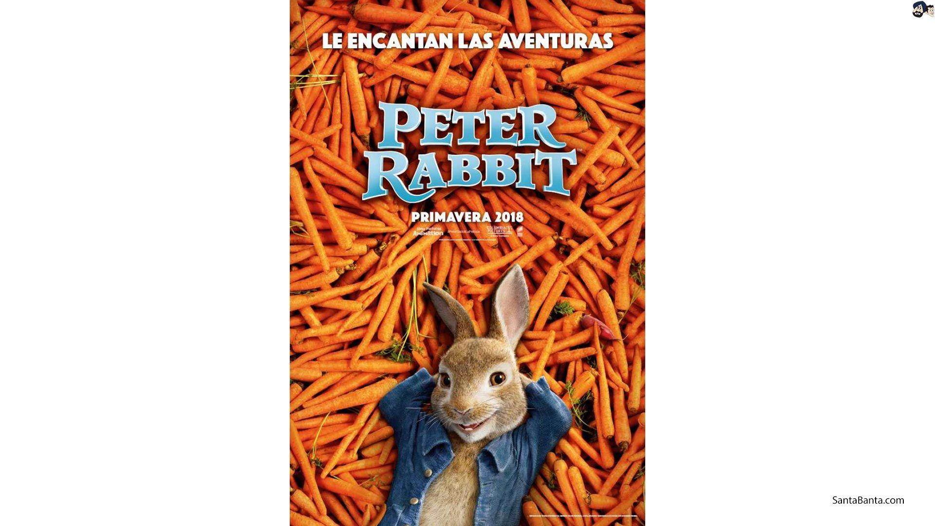 Peter Rabbit Wallpapers - Top Free Peter Rabbit Backgrounds ...