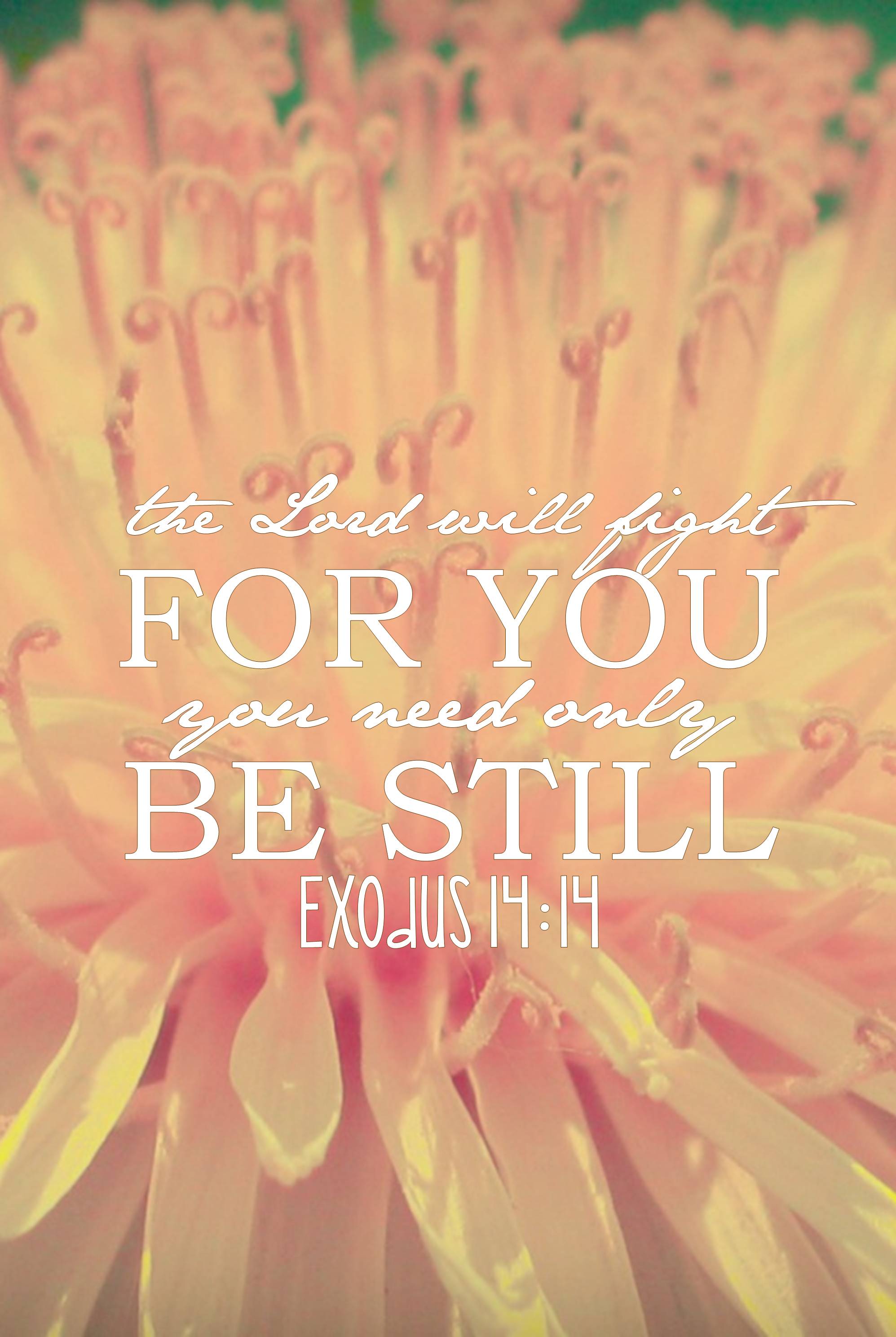 Bible Verse Mobile Wallpapers - Top Free Bible Verse Mobile Backgrounds ...