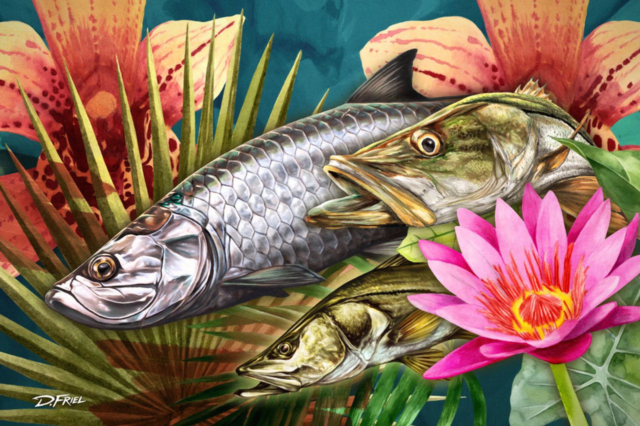 Tarpon Wallpapers - Top Free Tarpon Backgrounds - WallpaperAccess