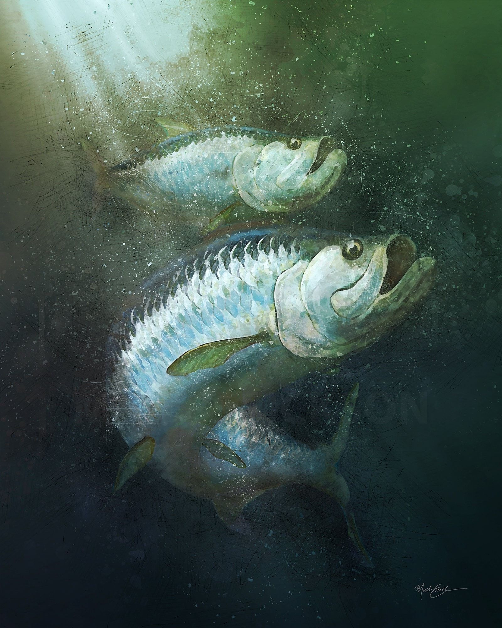 Tarpon Wallpapers - Top Free Tarpon Backgrounds - WallpaperAccess
