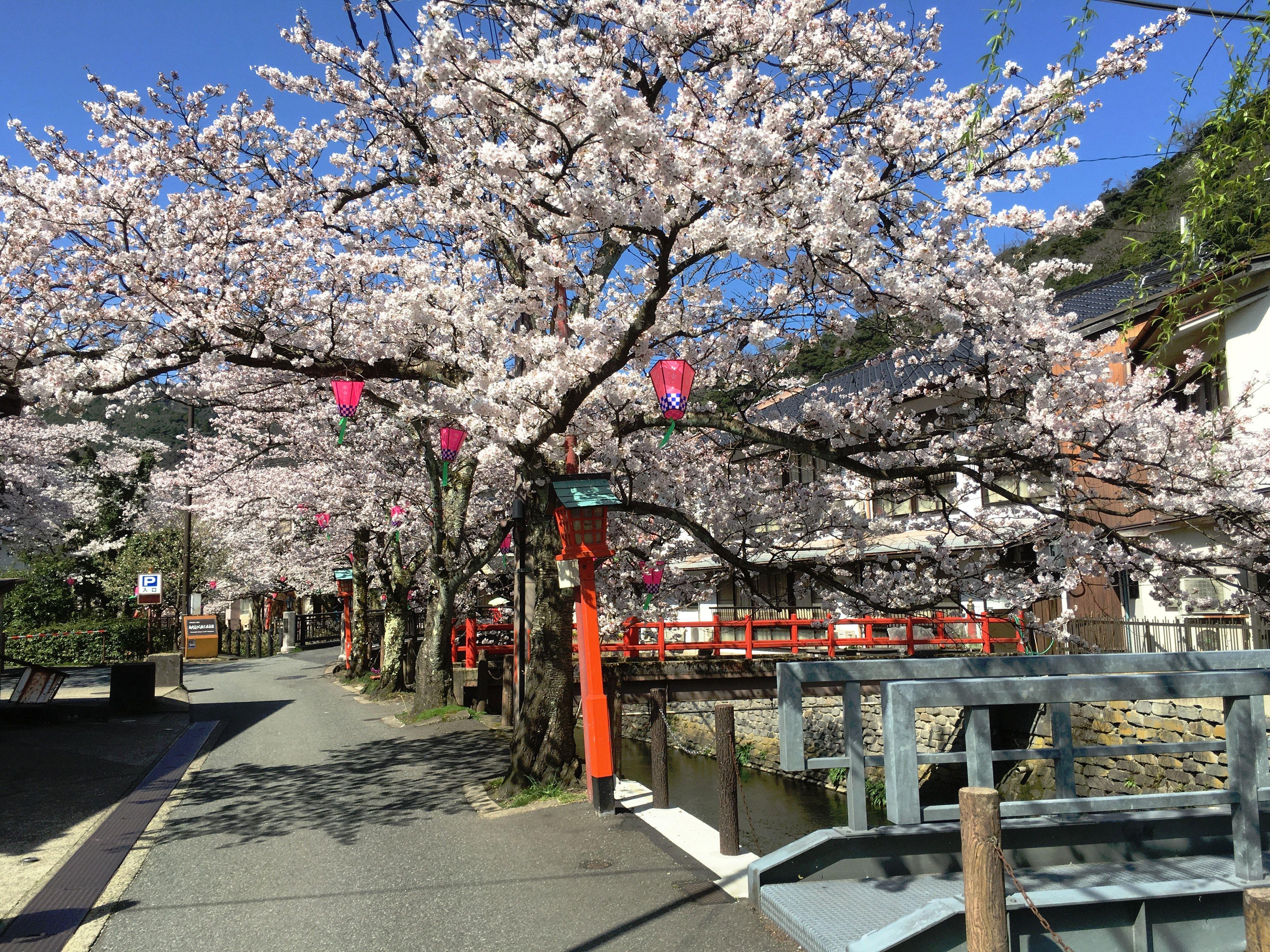 Onsen Wallpapers - Top Free Onsen Backgrounds - WallpaperAccess