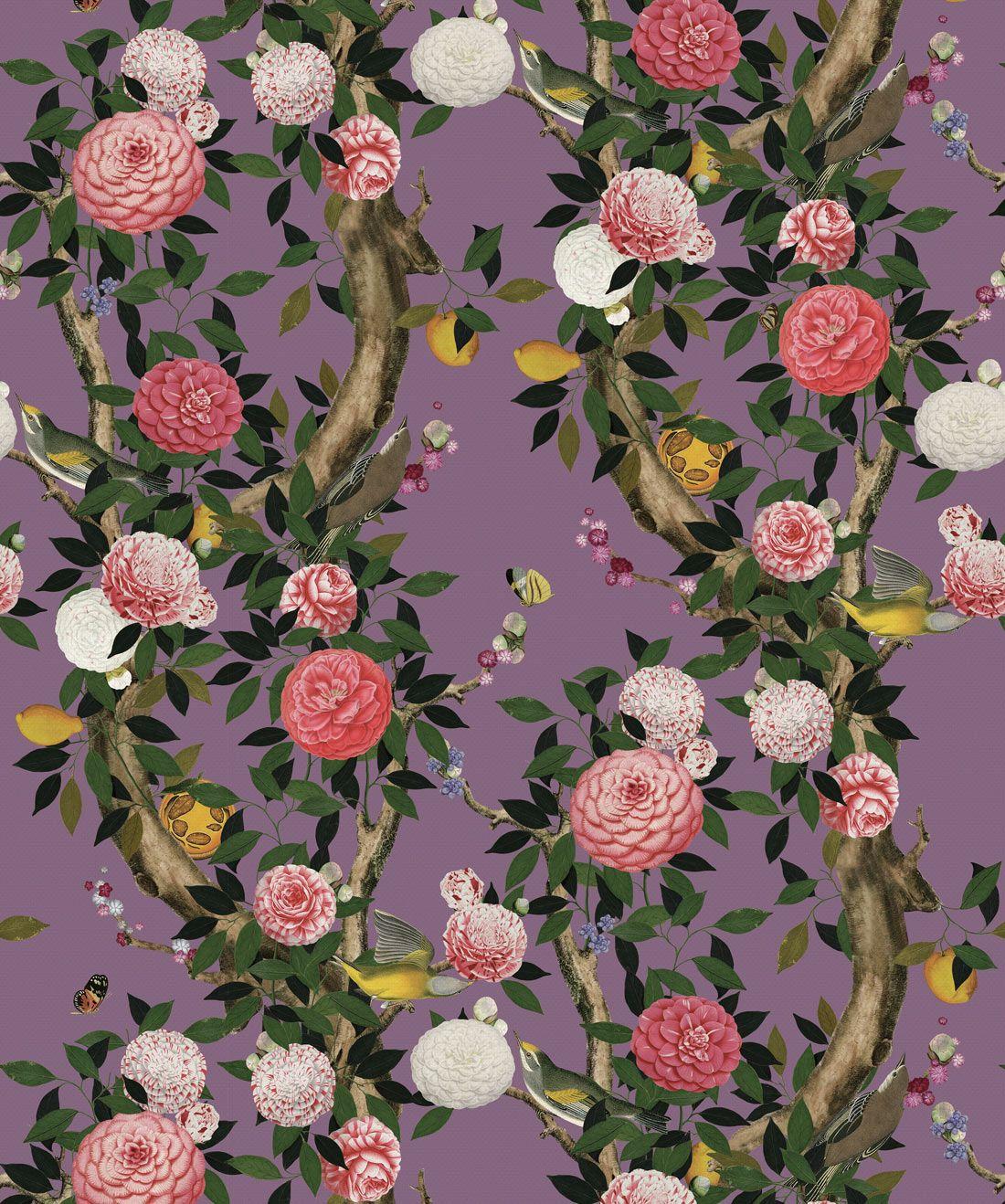 Bloom Wallpapers - Top Free Bloom Backgrounds - WallpaperAccess