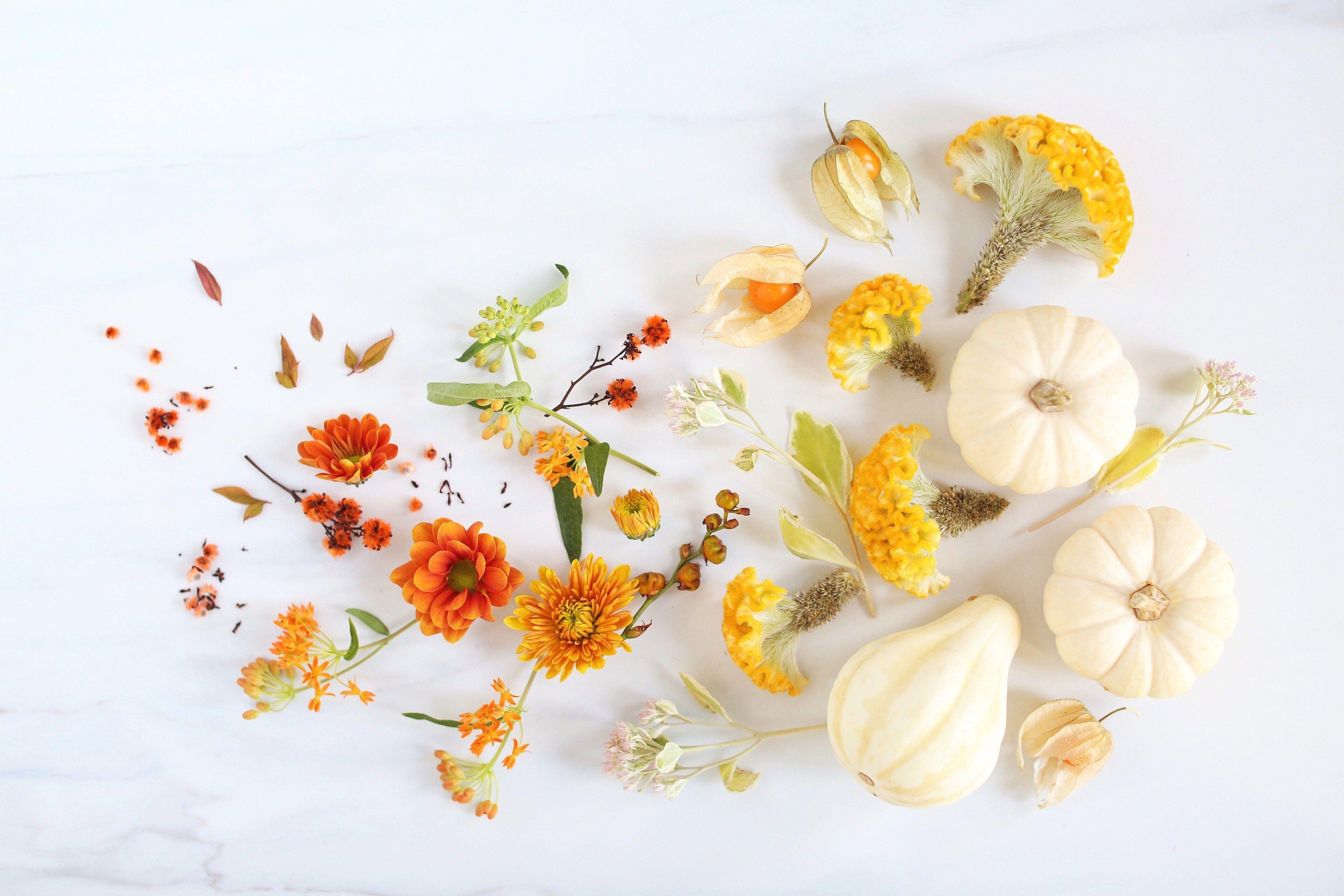 Bloom Wallpapers - Top Free Bloom Backgrounds - WallpaperAccess