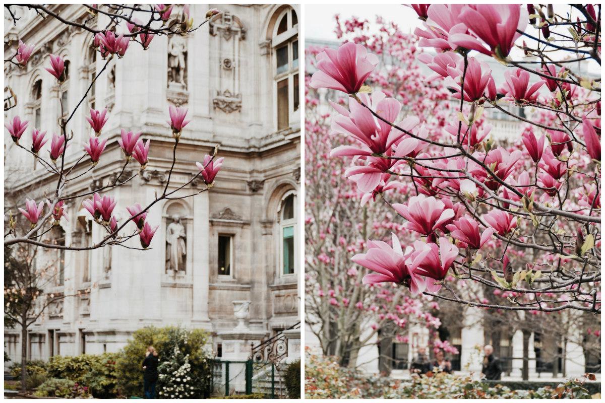 Paris in Spring Wallpapers - Top Free Paris in Spring Backgrounds ...