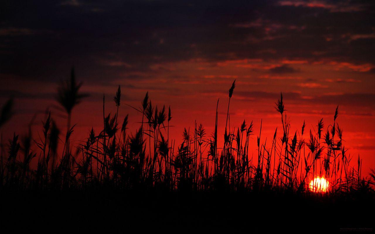 Red Dawn Wallpapers - Top Free Red Dawn Backgrounds - WallpaperAccess