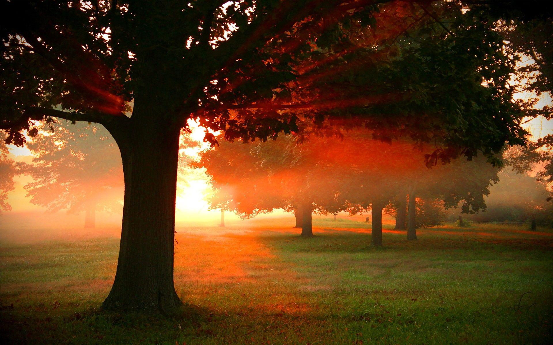 Red Dawn Wallpapers - Top Free Red Dawn Backgrounds - WallpaperAccess