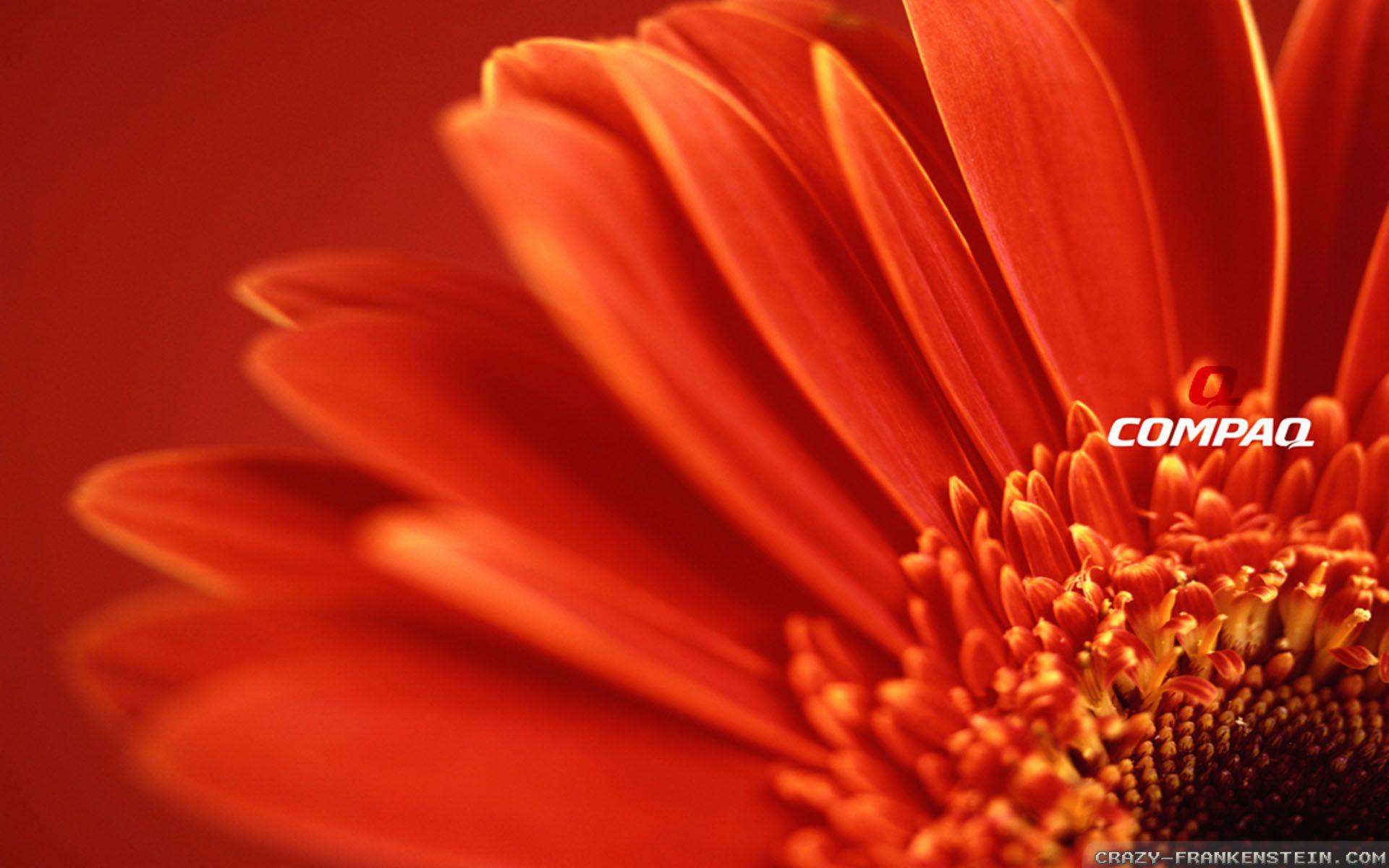 Compaq Wallpapers - Top Free Compaq Backgrounds - WallpaperAccess