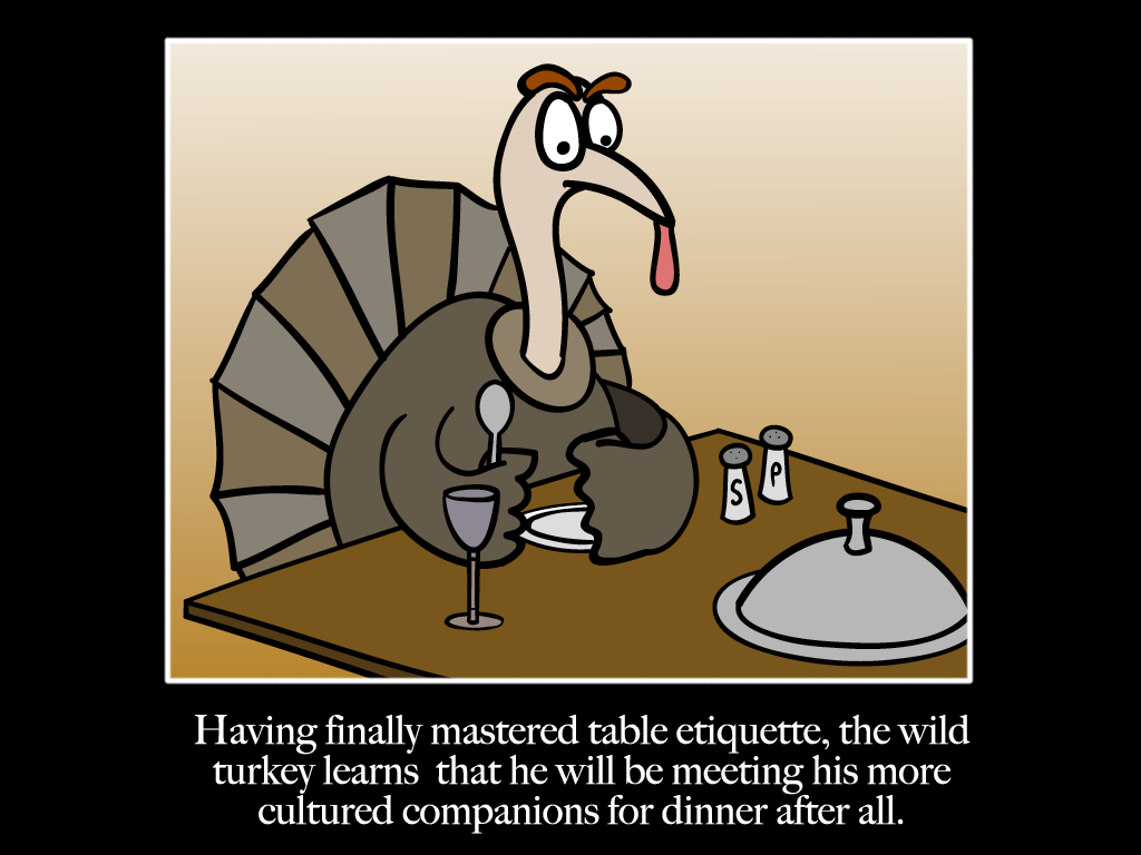 Crazy Turkey Wallpapers - Top Free Crazy Turkey Backgrounds ...