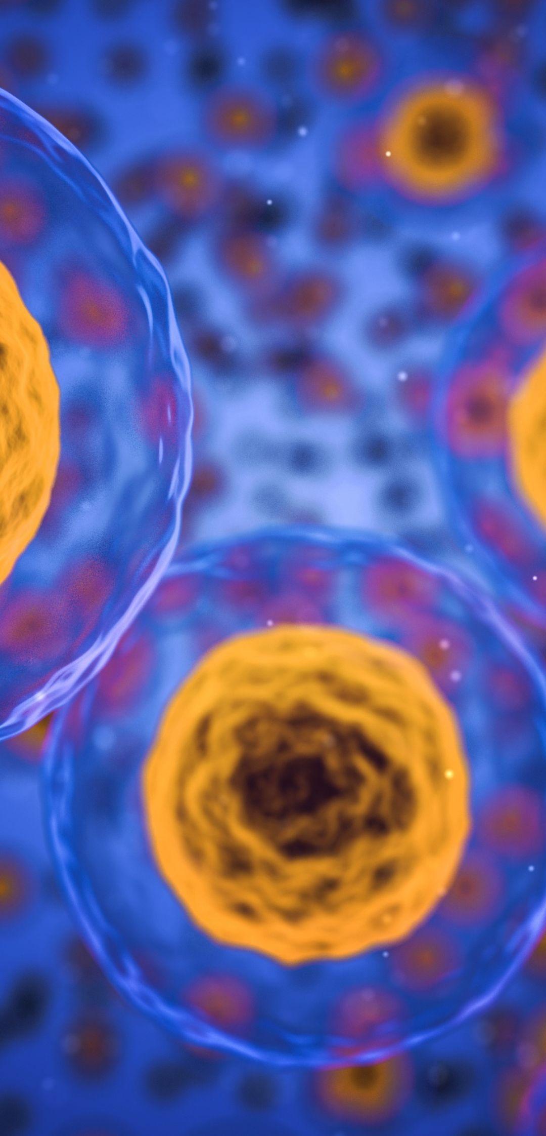 Microbiology Wallpapers - Top Free Microbiology Backgrounds ...