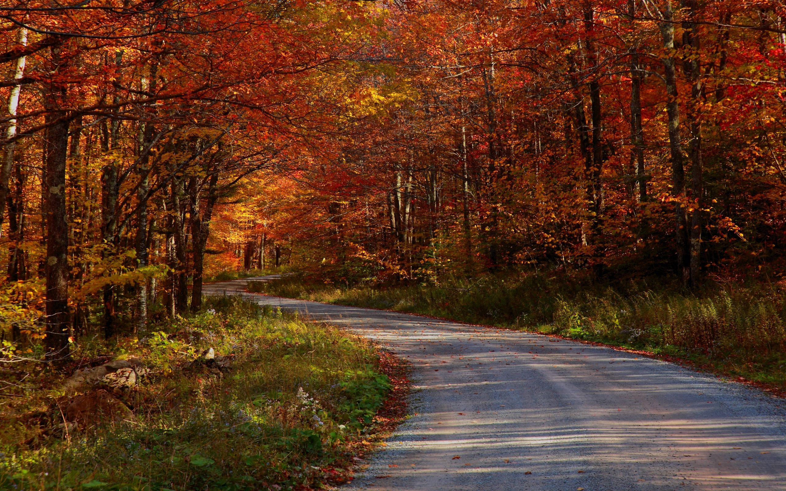 Country Road Wallpapers - Top Free Country Road Backgrounds ...