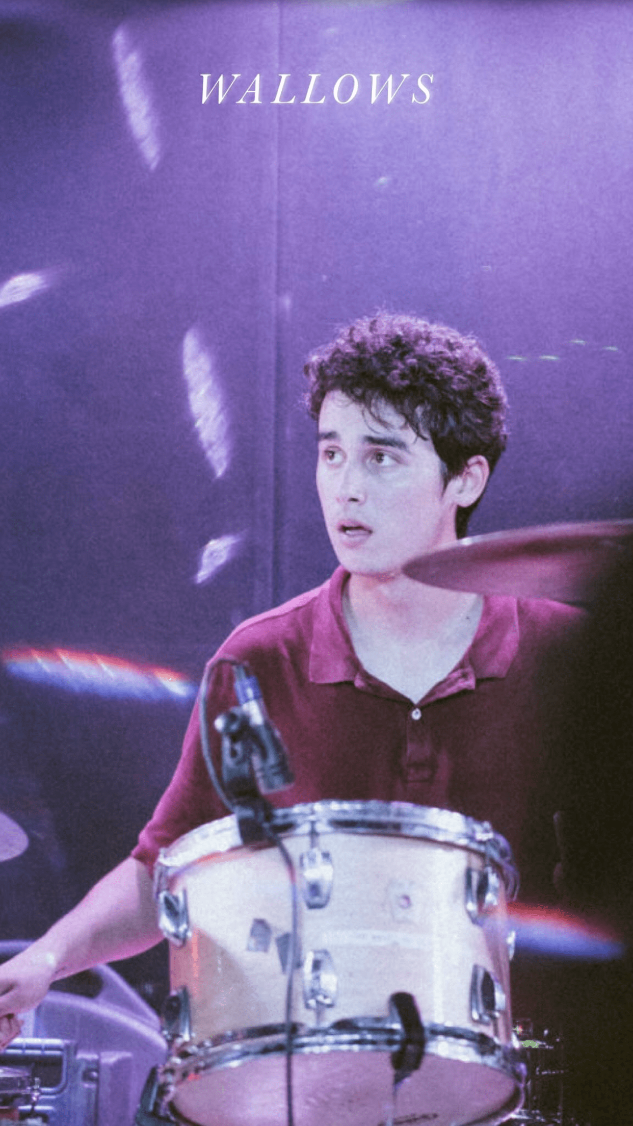 Wallows Wallpapers - Top Free Wallows Backgrounds - WallpaperAccess