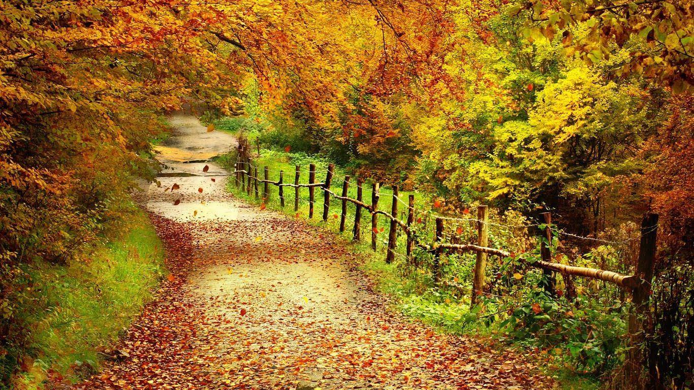 Rustic Fall Wallpapers - Top Free Rustic Fall Backgrounds - WallpaperAccess