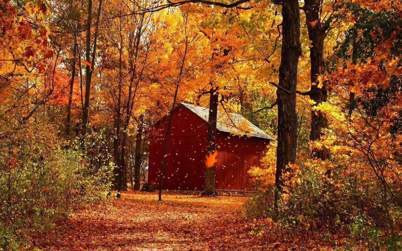 Rustic Fall Wallpapers - Top Free Rustic Fall Backgrounds - WallpaperAccess
