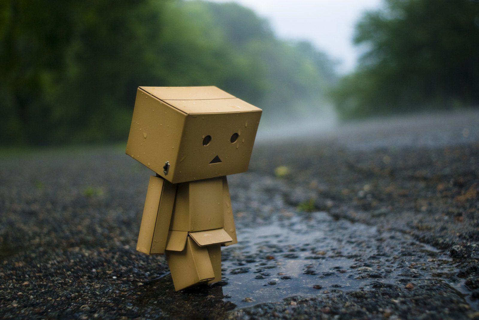 Danbo Wallpapers - Top Free Danbo Backgrounds - WallpaperAccess