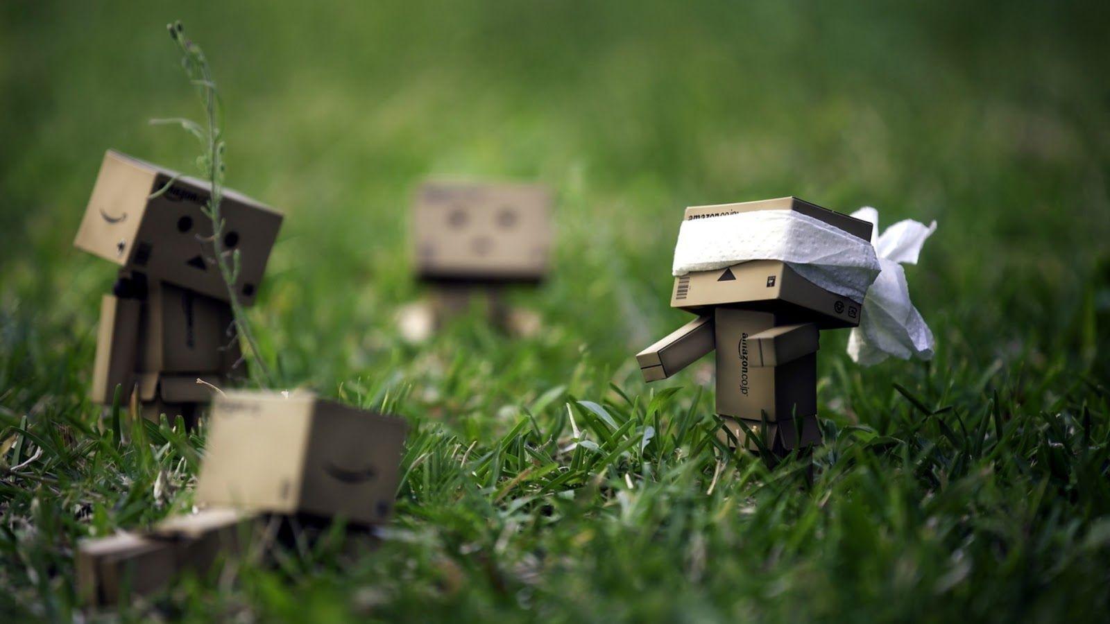 Danbo Wallpapers - Top Free Danbo Backgrounds - WallpaperAccess