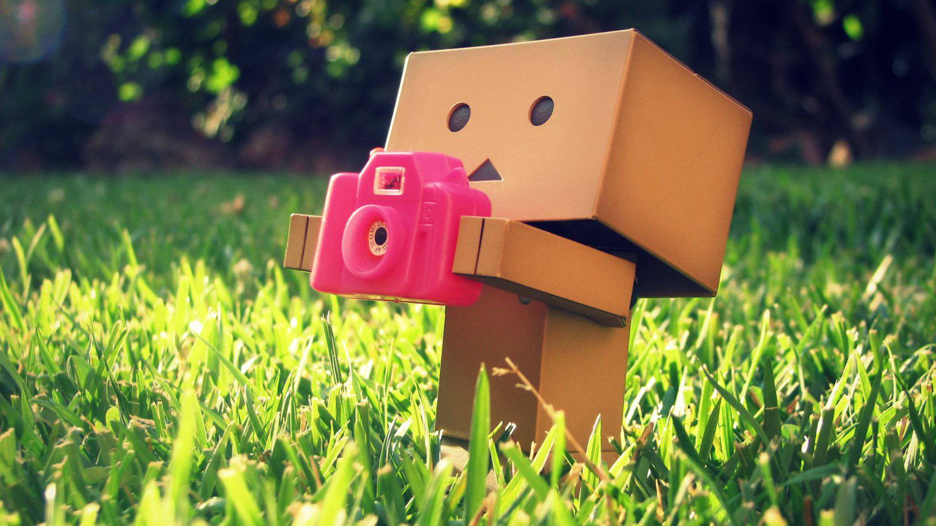 Danbo Wallpapers - Top Free Danbo Backgrounds - WallpaperAccess