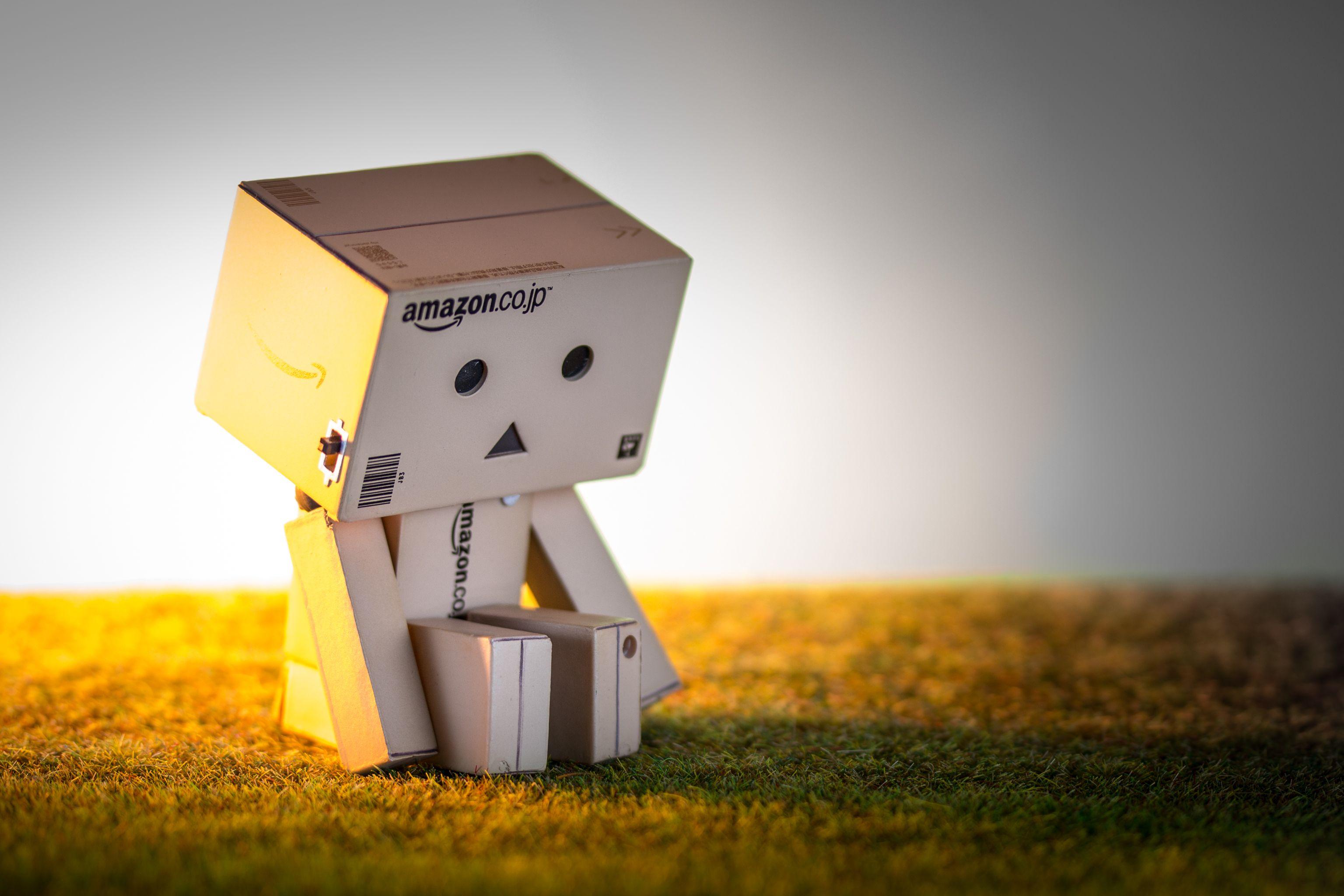 Danbo Wallpapers - Top Free Danbo Backgrounds - WallpaperAccess