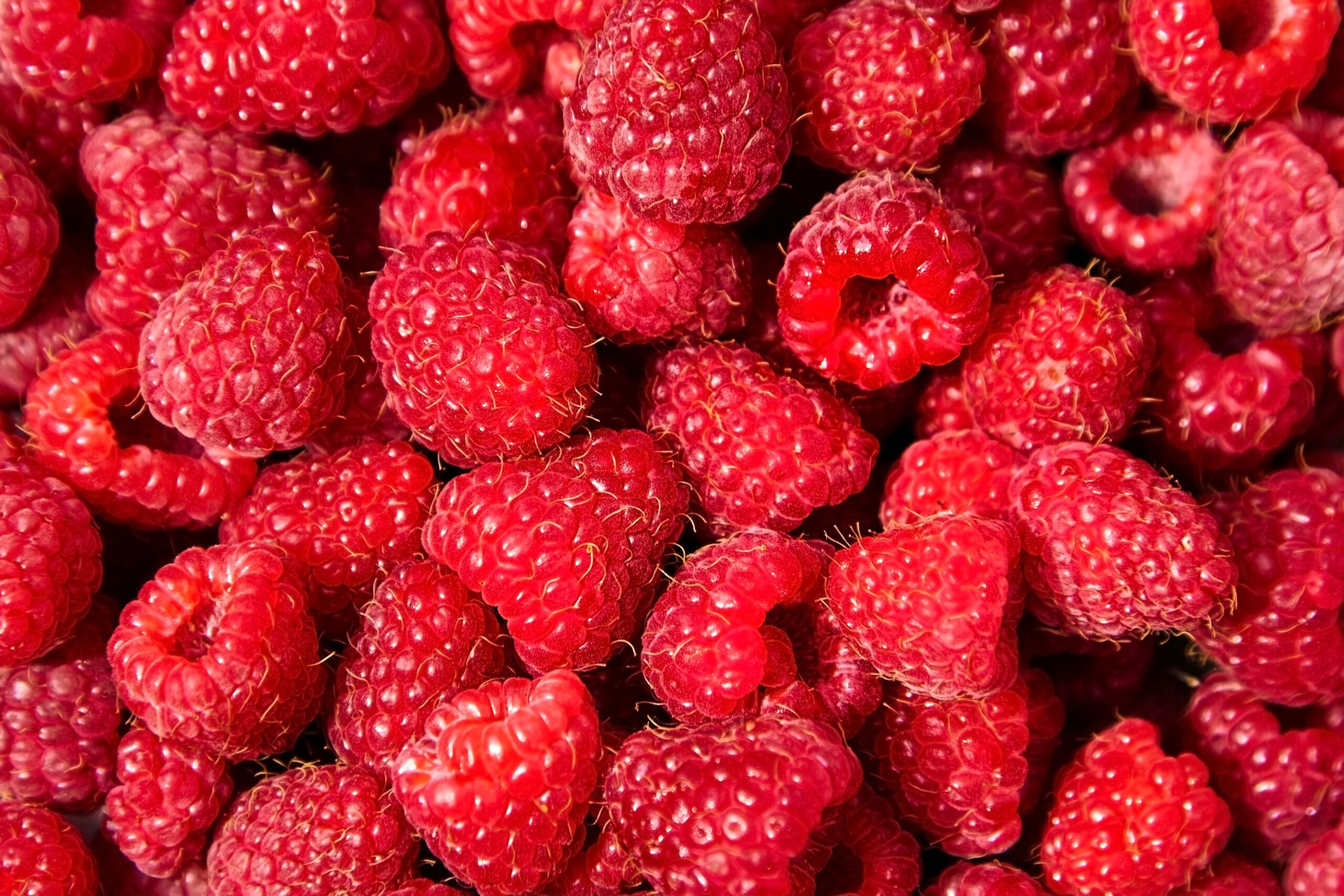Red Food Wallpapers - Top Free Red Food Backgrounds - WallpaperAccess