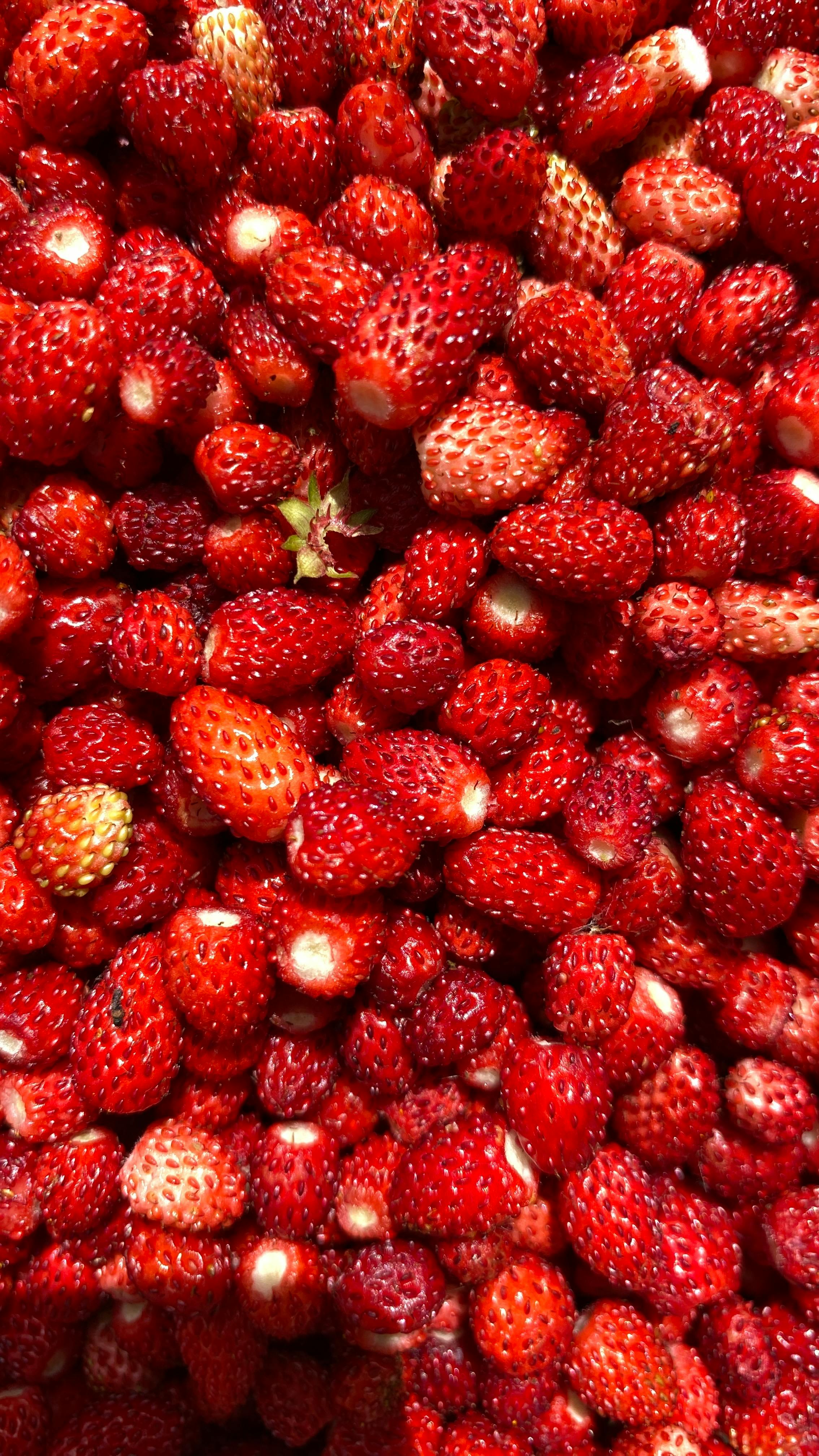 Red Food Wallpapers - Top Free Red Food Backgrounds - WallpaperAccess