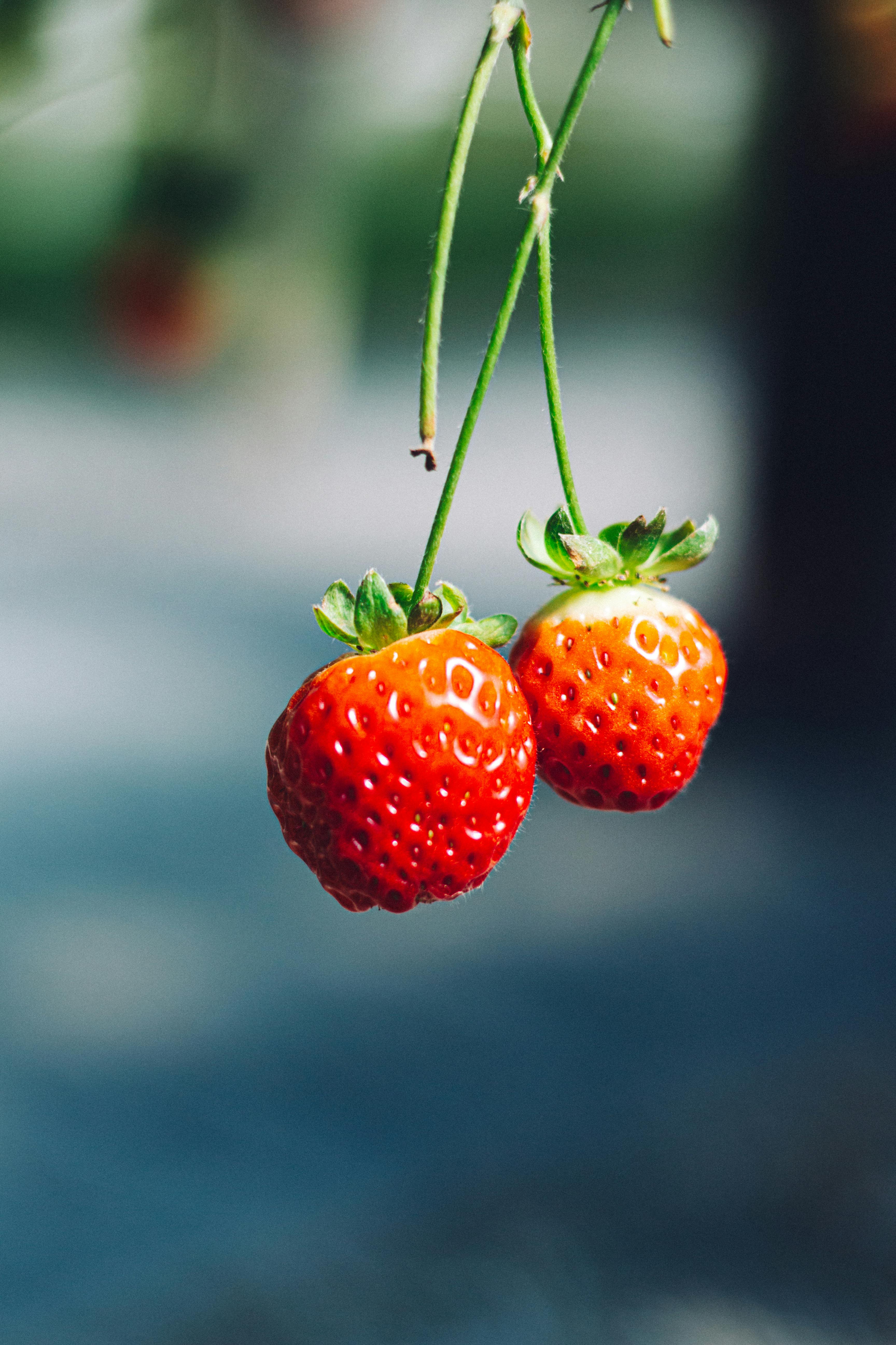 Red Food Wallpapers - Top Free Red Food Backgrounds - WallpaperAccess