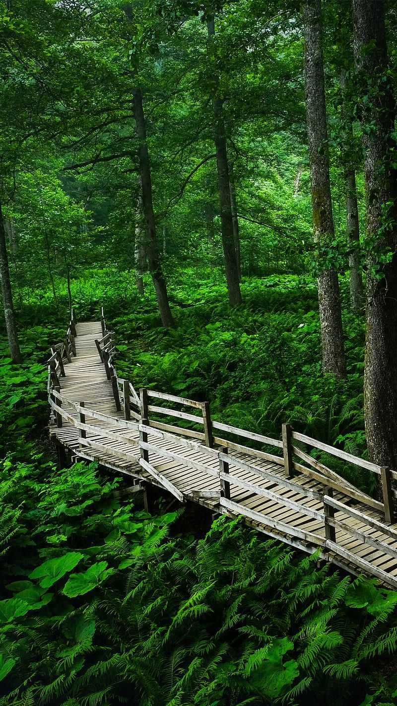Turkey Nature Wallpapers - Top Free Turkey Nature Backgrounds ...