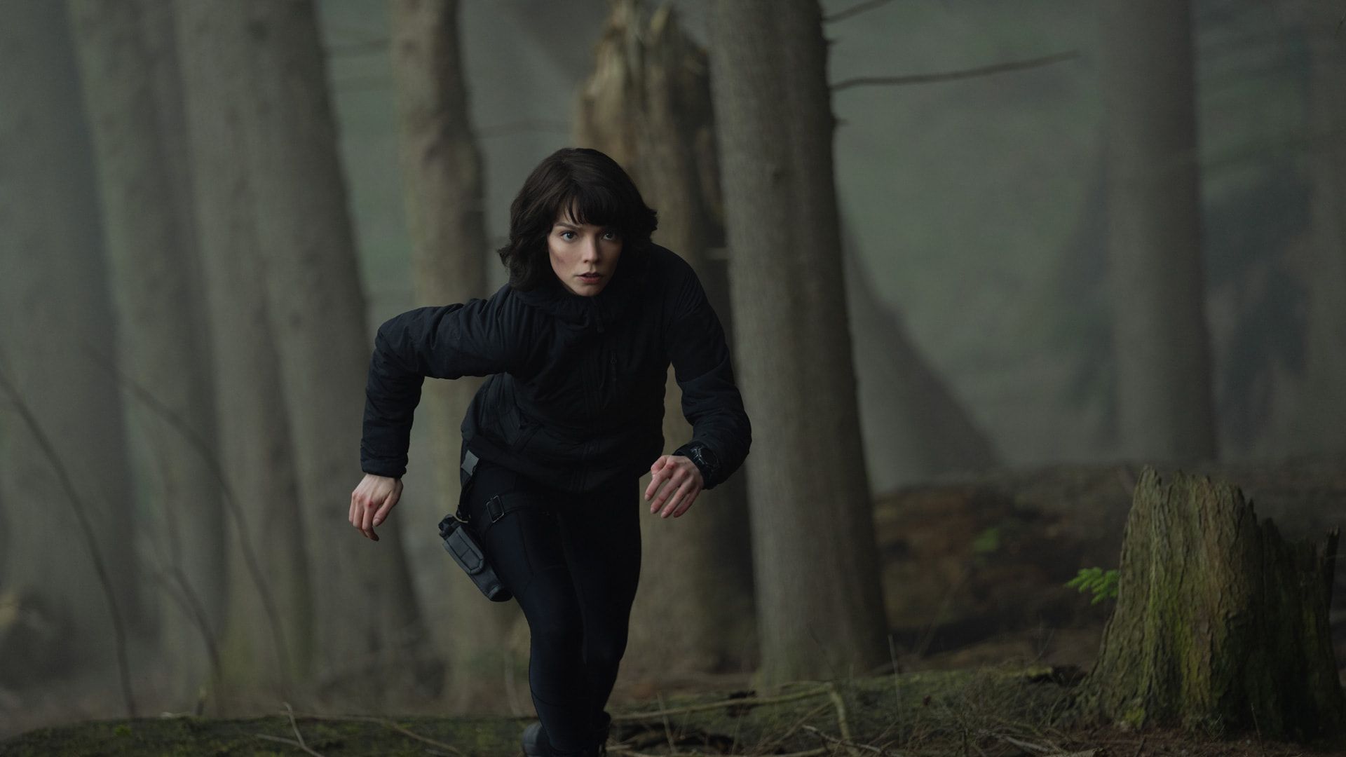 The Gorge Wallpapers - Top Free The Gorge Backgrounds - WallpaperAccess