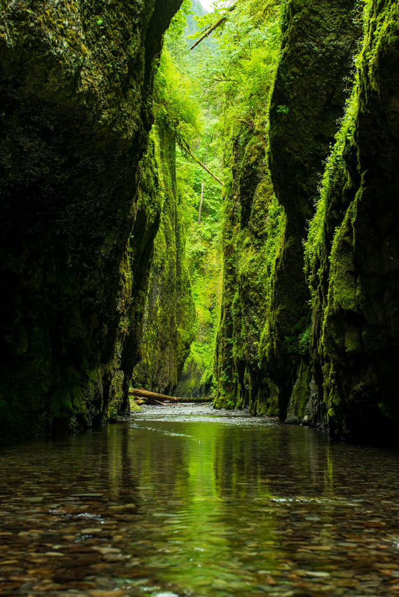 The Gorge Wallpapers - Top Free The Gorge Backgrounds - WallpaperAccess