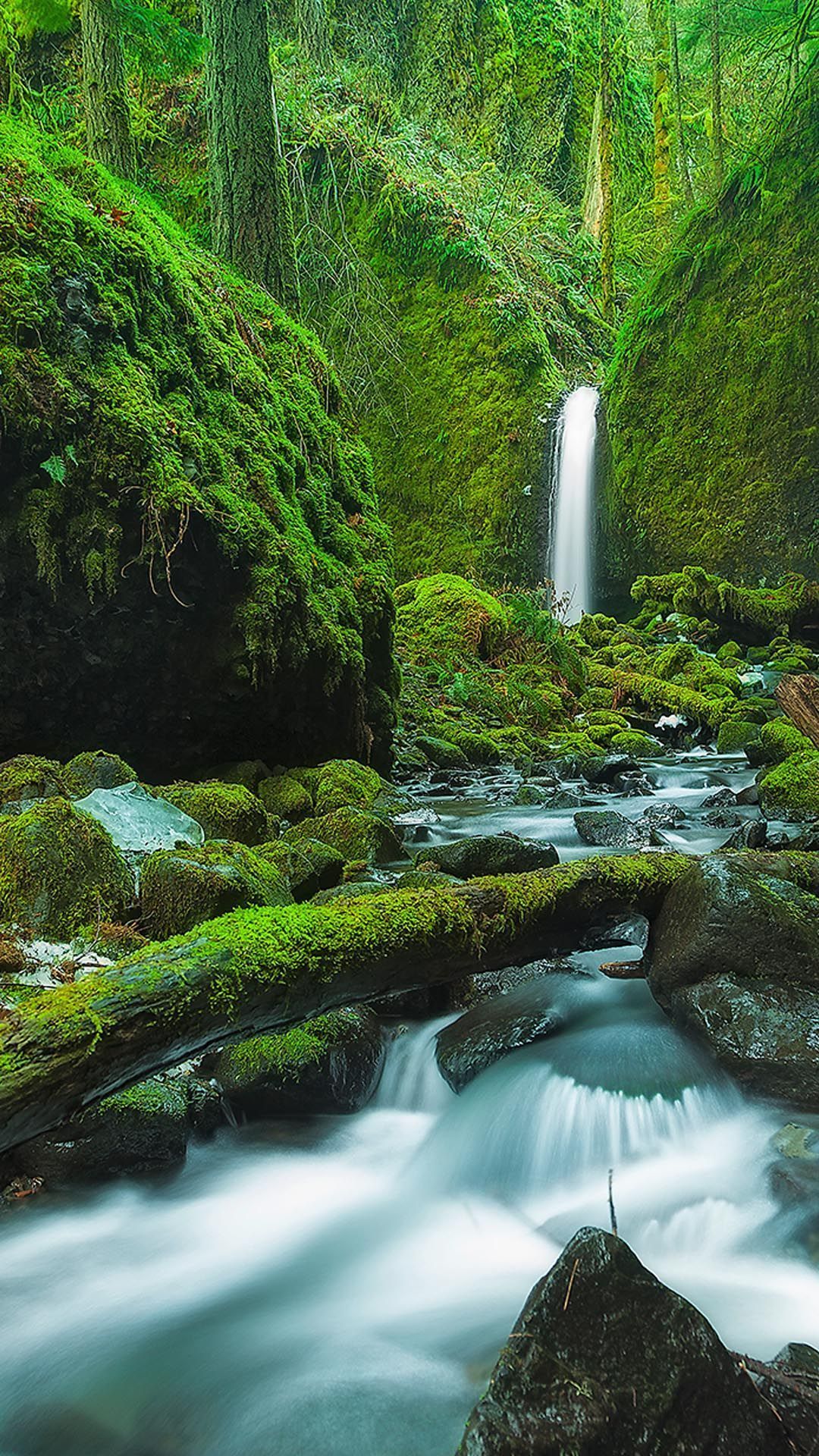 The Gorge Wallpapers - Top Free The Gorge Backgrounds - WallpaperAccess