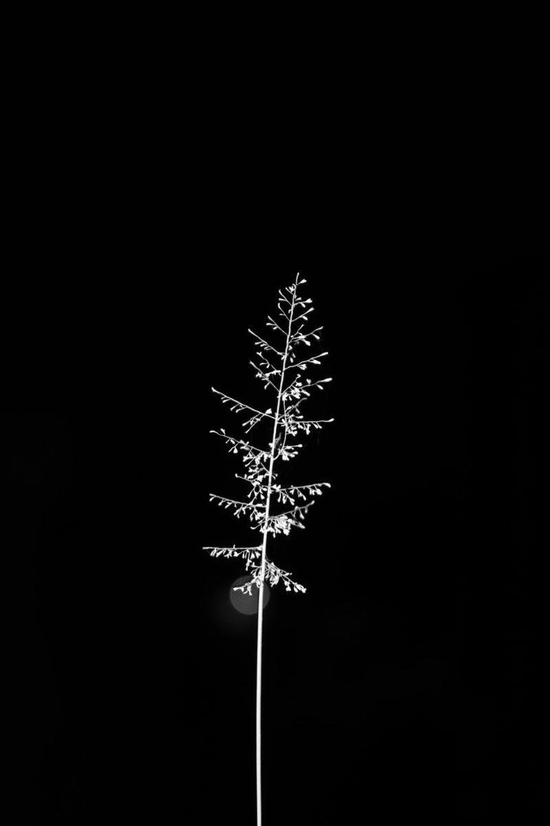Simple And Dark Wallpapers - Top Free Simple And Dark Backgrounds ...