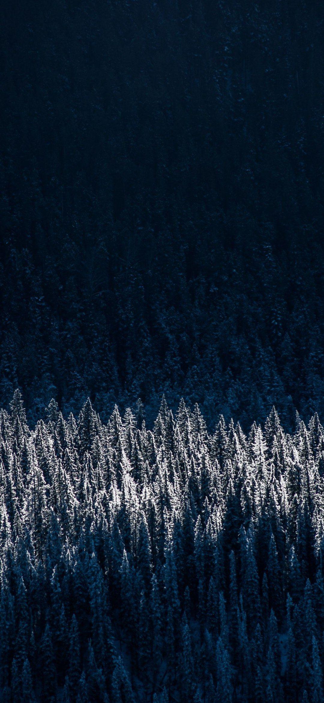 Oppo F11 Pro Wallpapers - Top Free Oppo F11 Pro Backgrounds ...