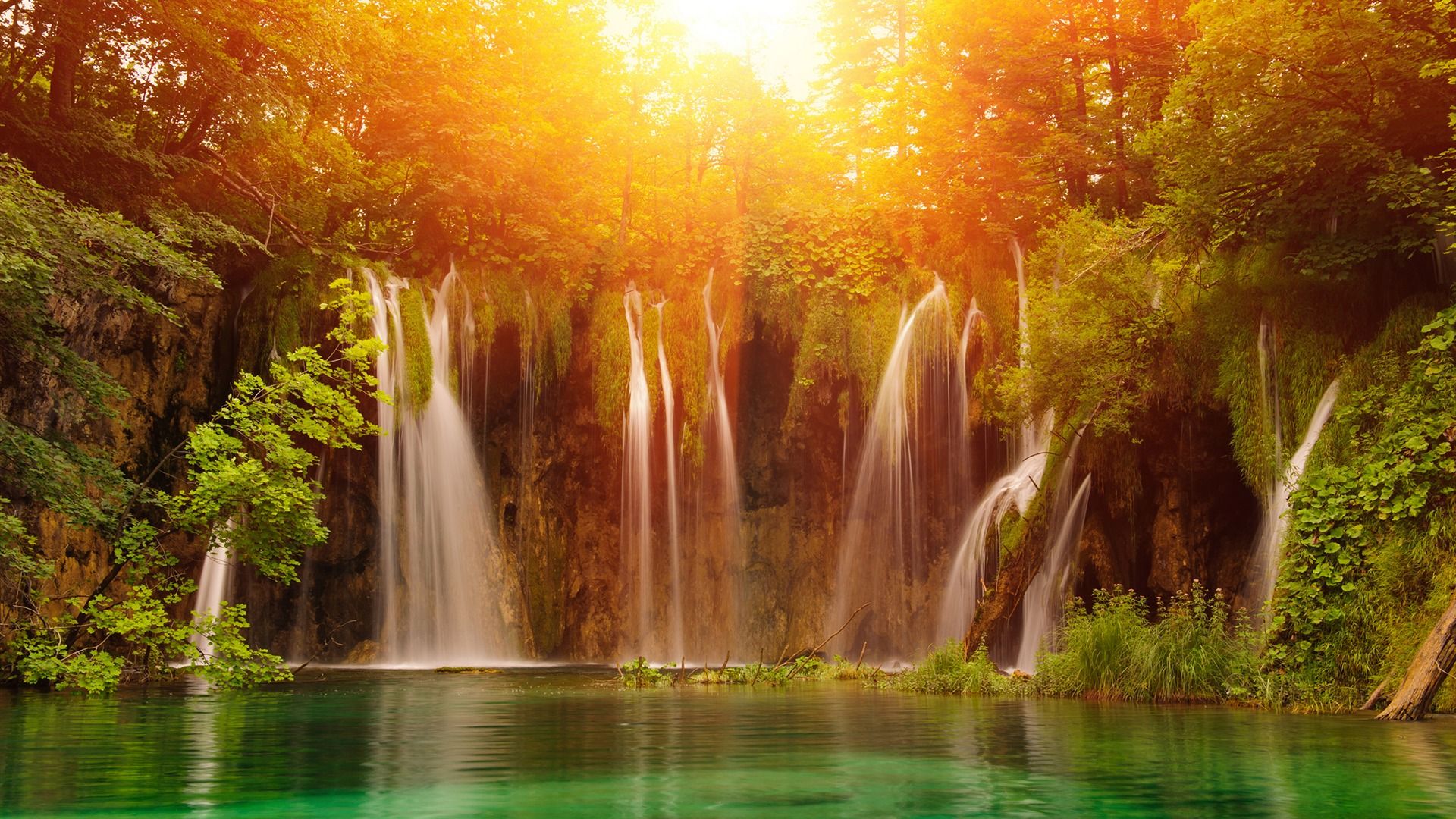 Forest Sunshine Wallpapers - Top Free Forest Sunshine Backgrounds ...