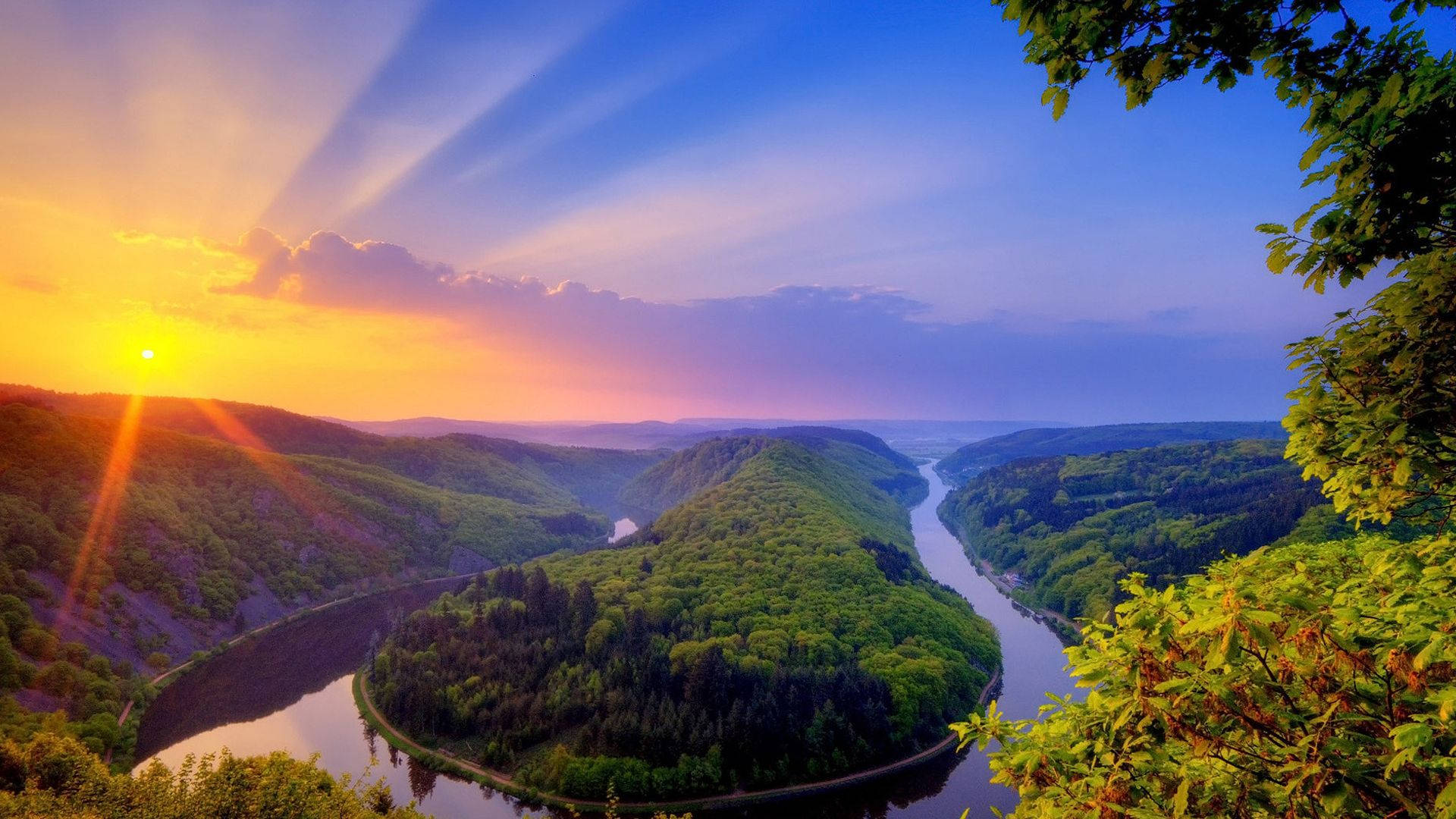 Forest Sunshine Wallpapers - Top Free Forest Sunshine Backgrounds ...