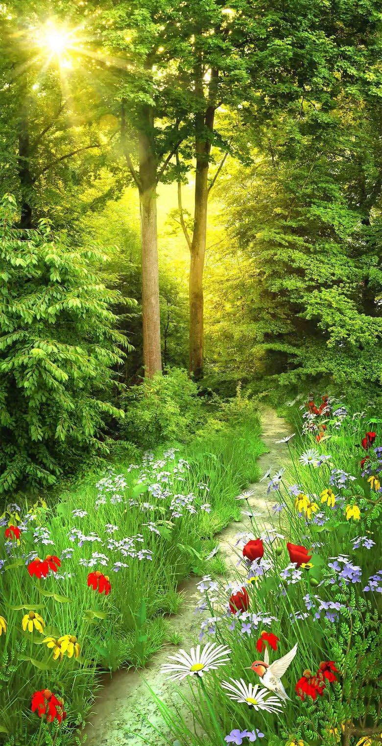 Forest Sunshine Wallpapers - Top Free Forest Sunshine Backgrounds ...