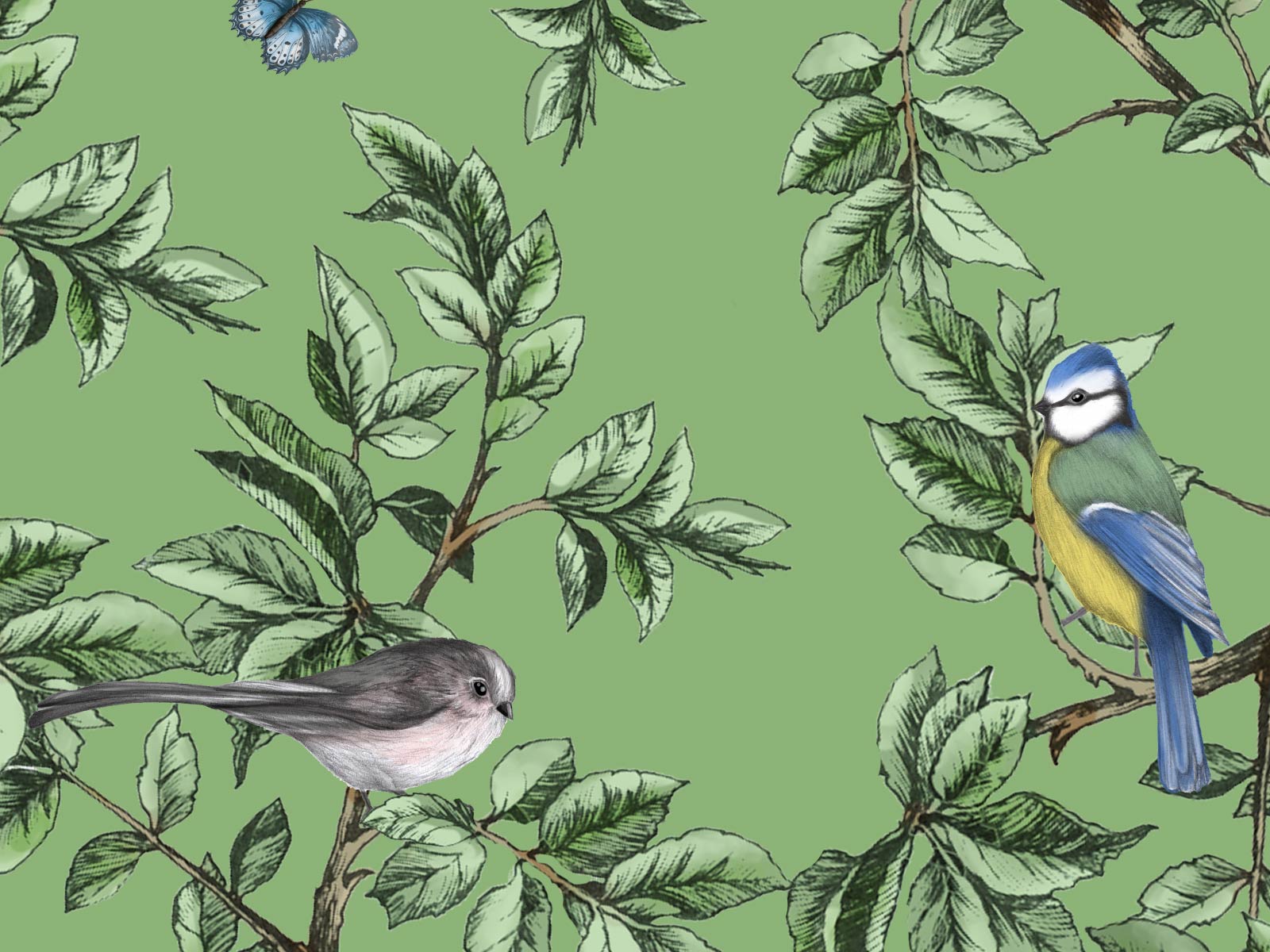 Green Bird Wallpapers - Top Free Green Bird Backgrounds - WallpaperAccess
