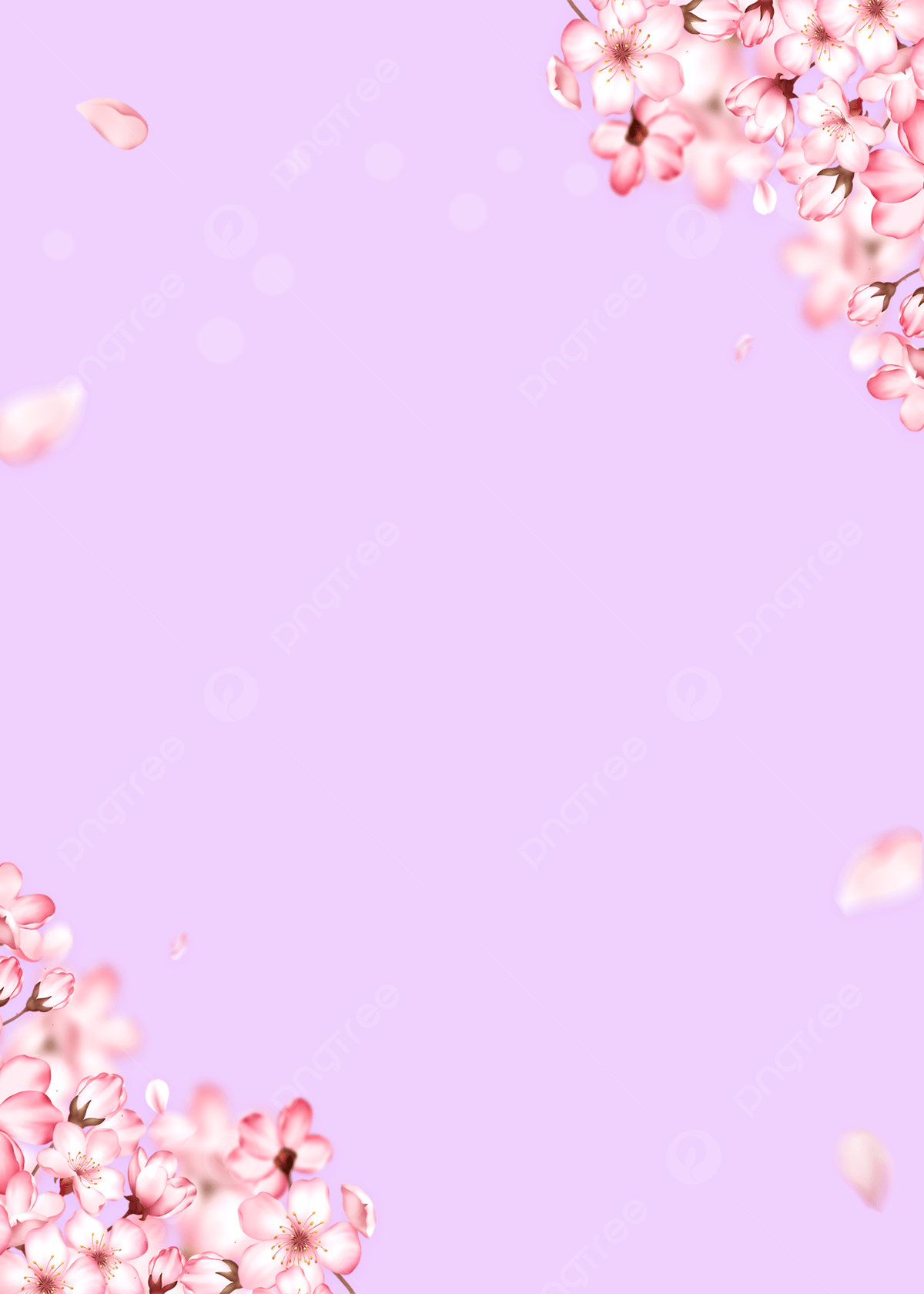Purple Sakura Wallpapers - Top Free Purple Sakura Backgrounds ...