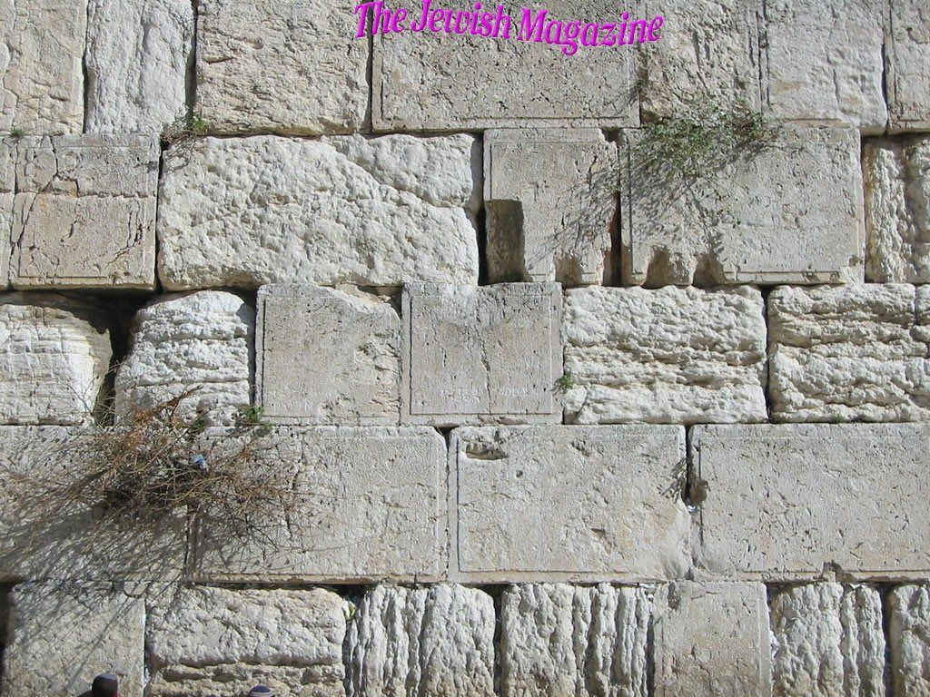 Kotel Wallpapers - Top Free Kotel Backgrounds - WallpaperAccess