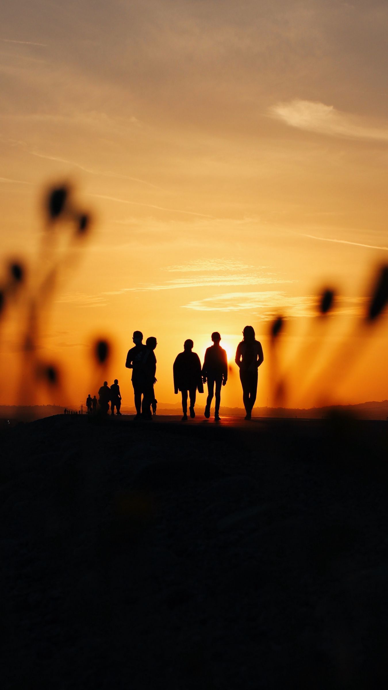 Four Friends Wallpapers - Top Free Four Friends Backgrounds ...