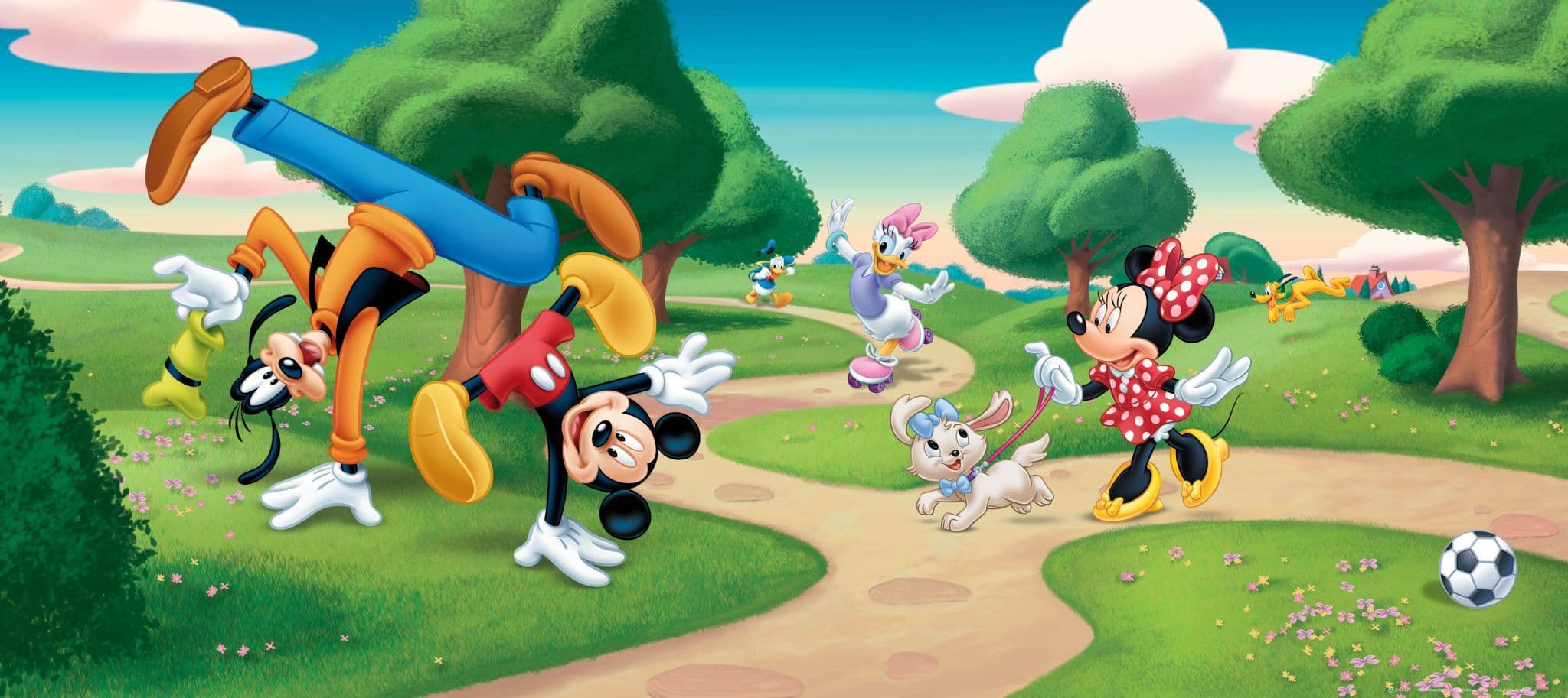 Mickey Park Wallpapers - Top Free Mickey Park Backgrounds - WallpaperAccess
